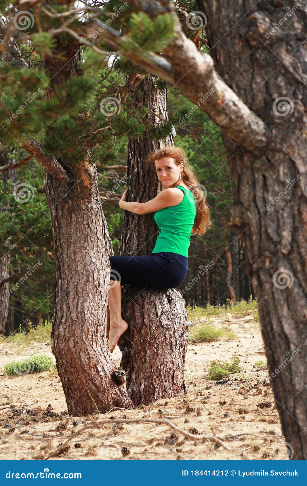 Girl sitting in a tree stock photo. Image of girl, design - 184414212