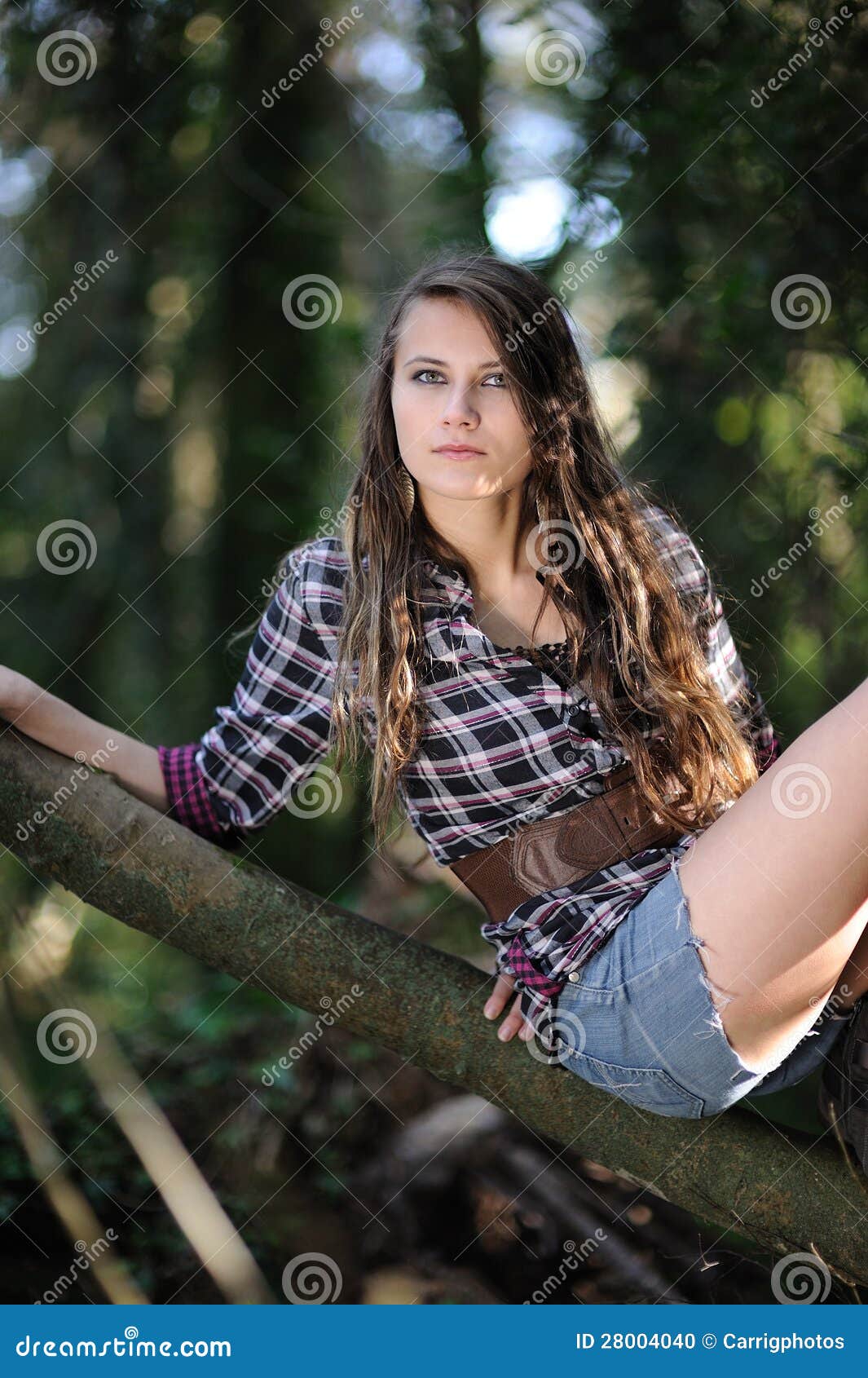 Girl sitting on a tree stock photo. Image of woman, girl - 28004040