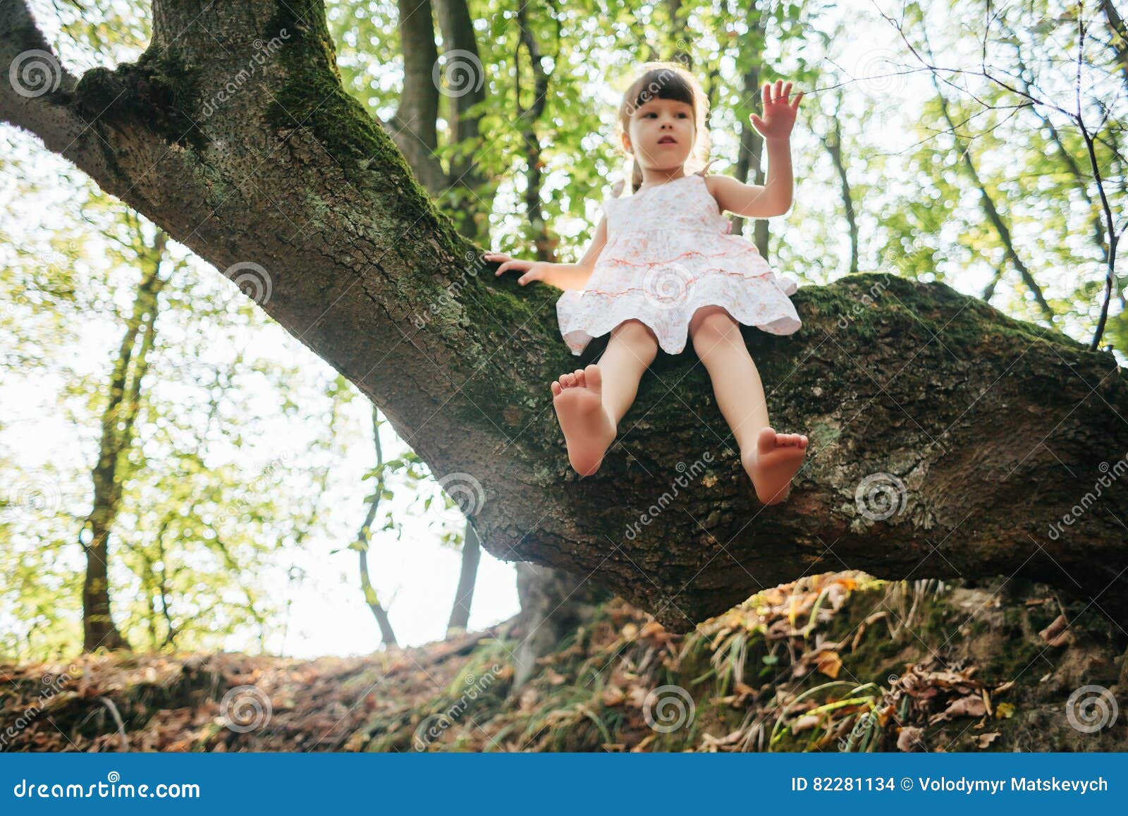 Girl Sitting on a Tree. Feet Stock Photo - Image of childhood, forest ...