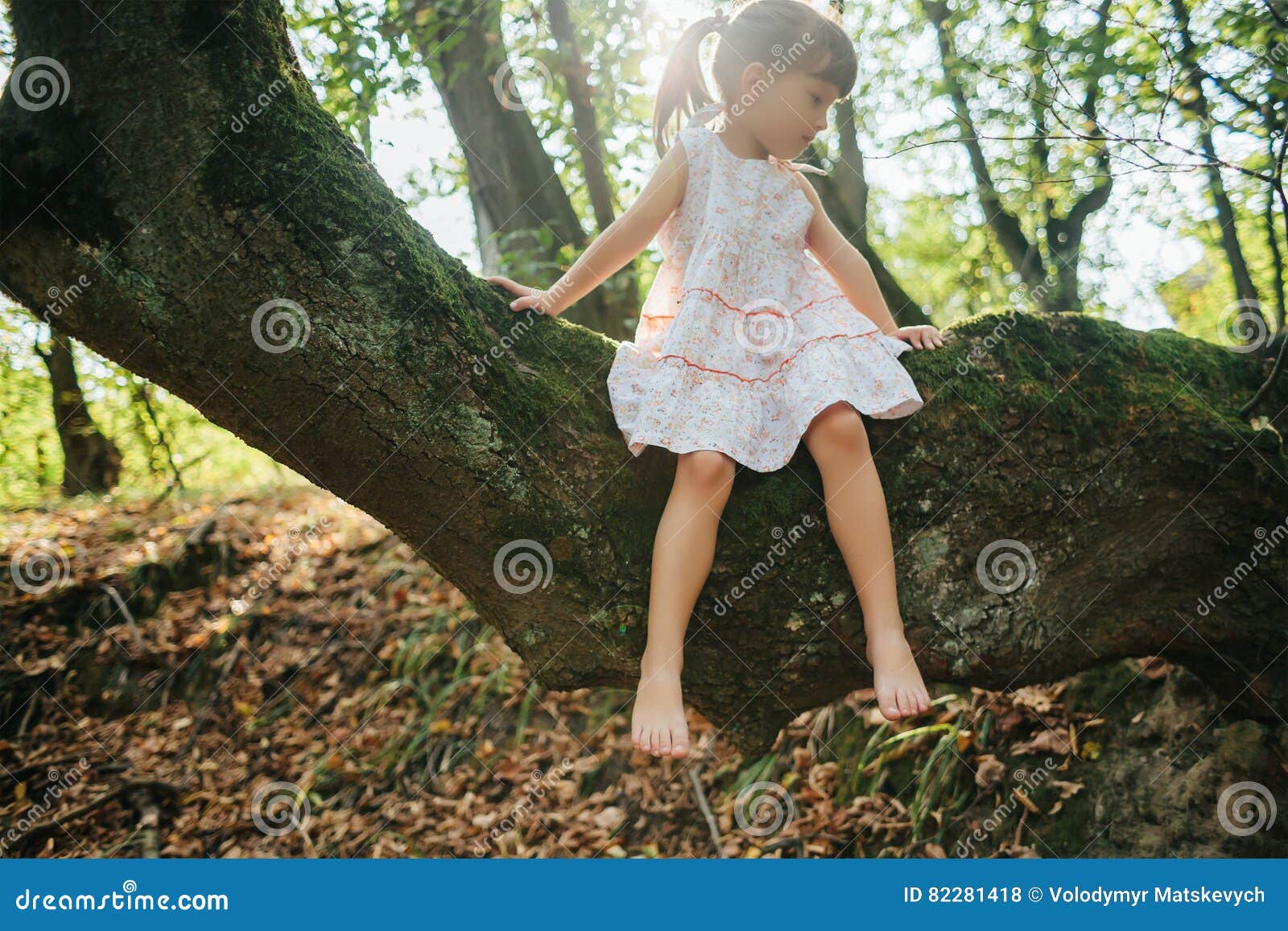 Girl Sitting on a Tree. Foot. Moss Stock Photo - Image of climbing ...