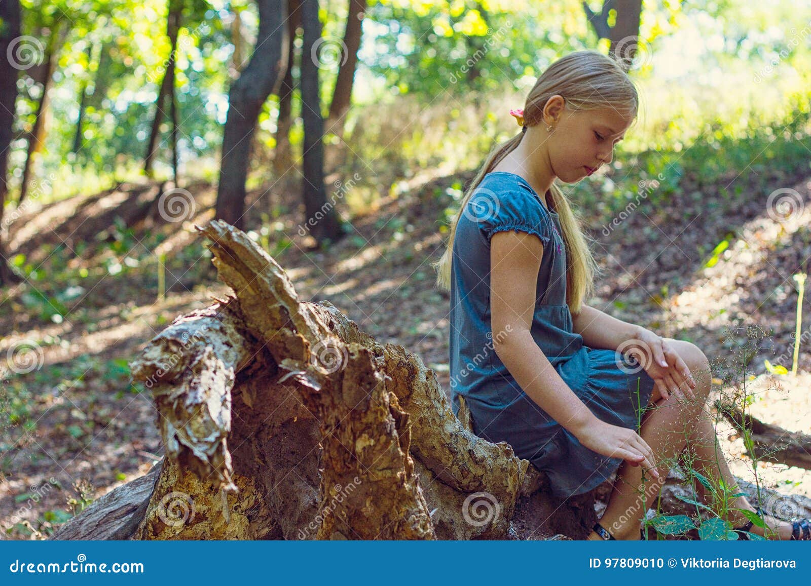 Girl Sitting on a Tree Stump Stock Photo - Image of cheerful, girl ...