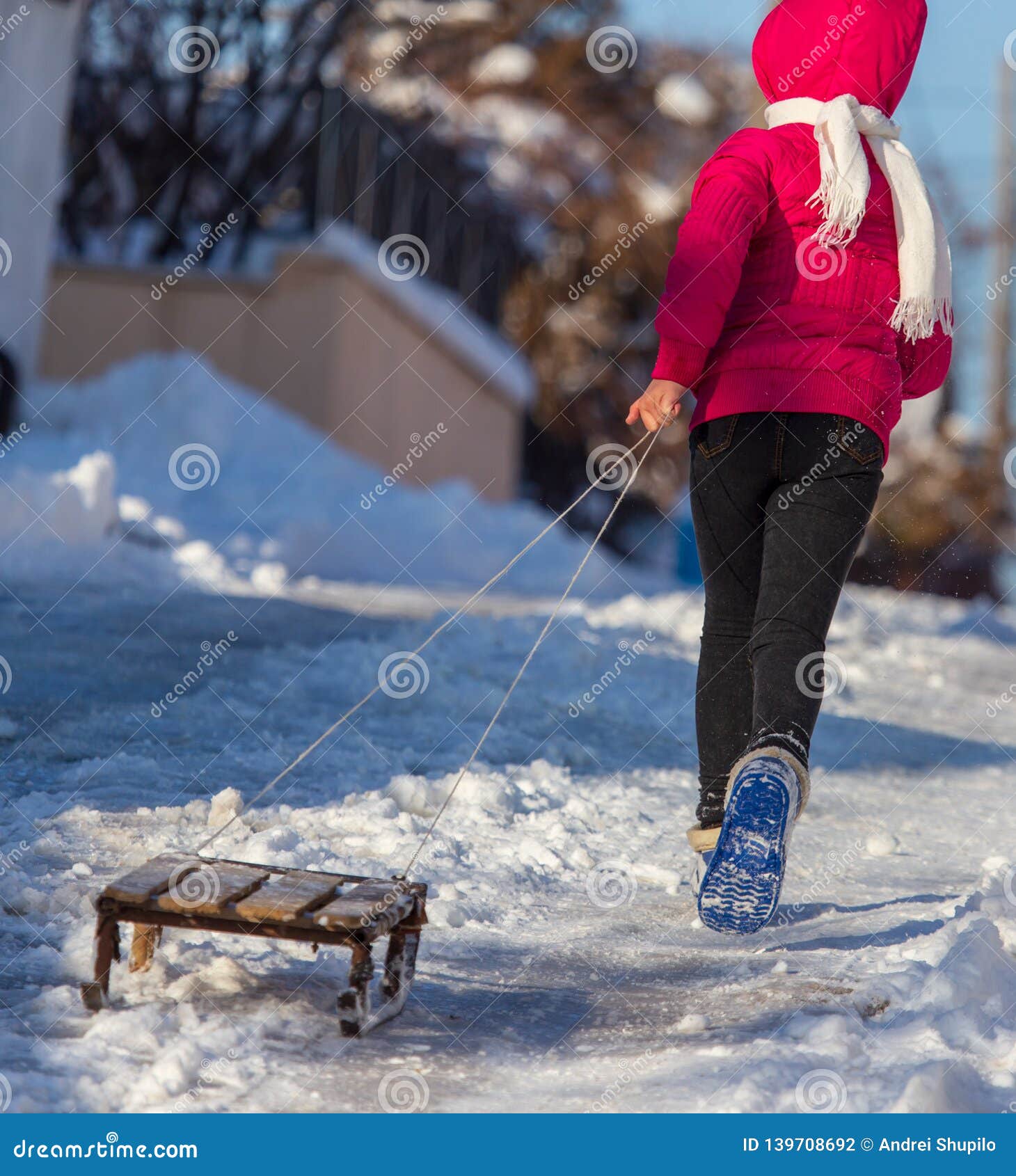 Girl with Sled in the Snow in Winter Stock Photo - Image of girl ...