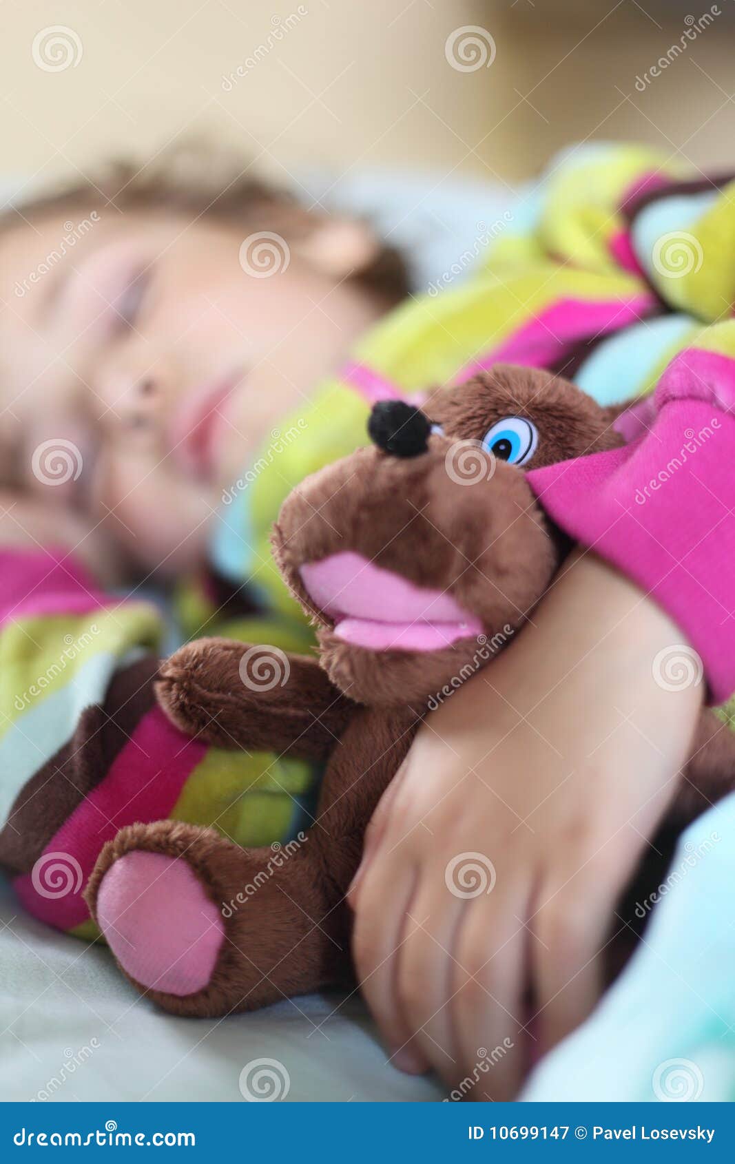 Girl Sleeps in Train with Puppet Stock Image - Image of beauty, close ...