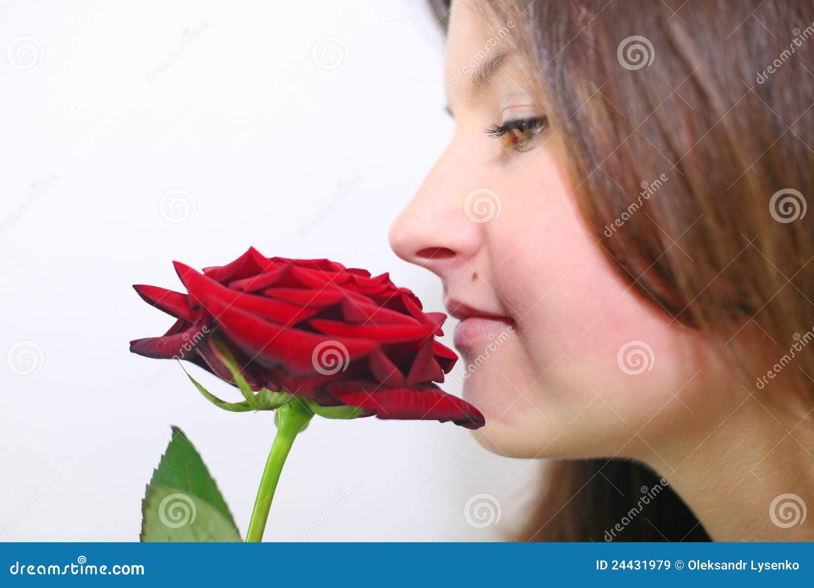 Girl smelling a rose stock image. Image of bouquet, brunette - 24431979