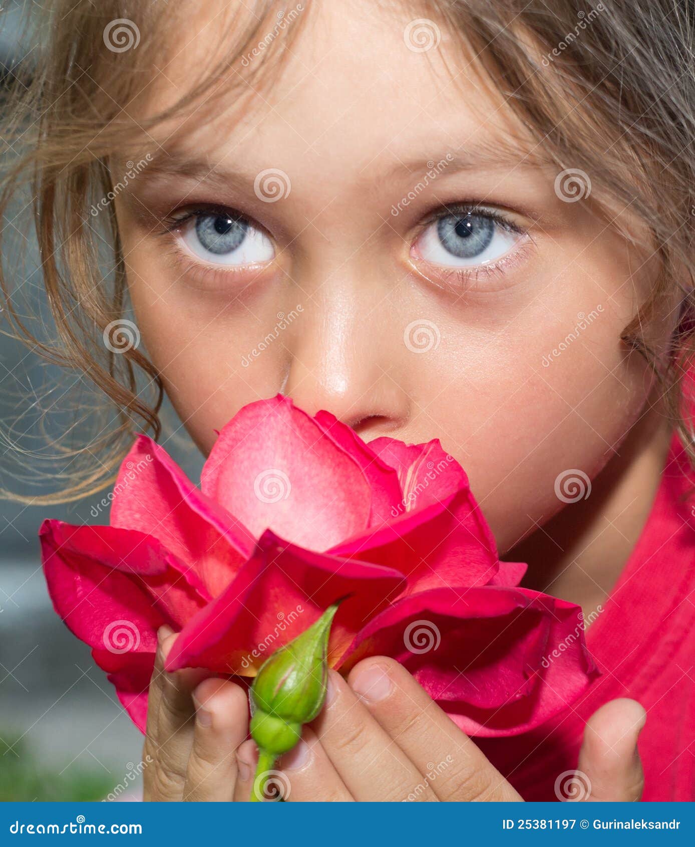 Girl smelling rose stock image. Image of smell, rose - 25381197