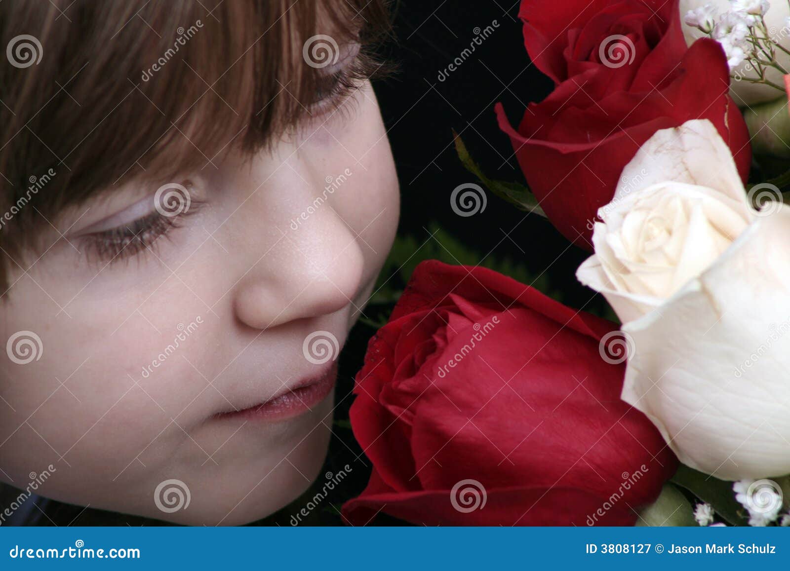 Girl smelling roses stock image. Image of flowers, eyes - 3808127