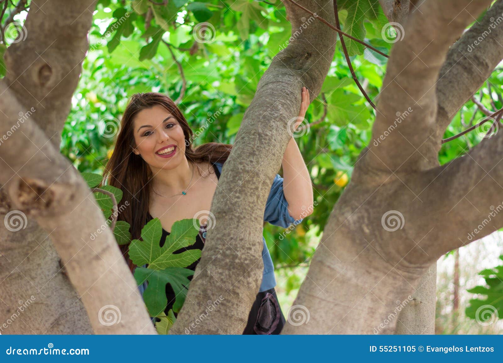 Girl Smiling Behind a Fig Tree Stock Image - Image of nature, climb ...