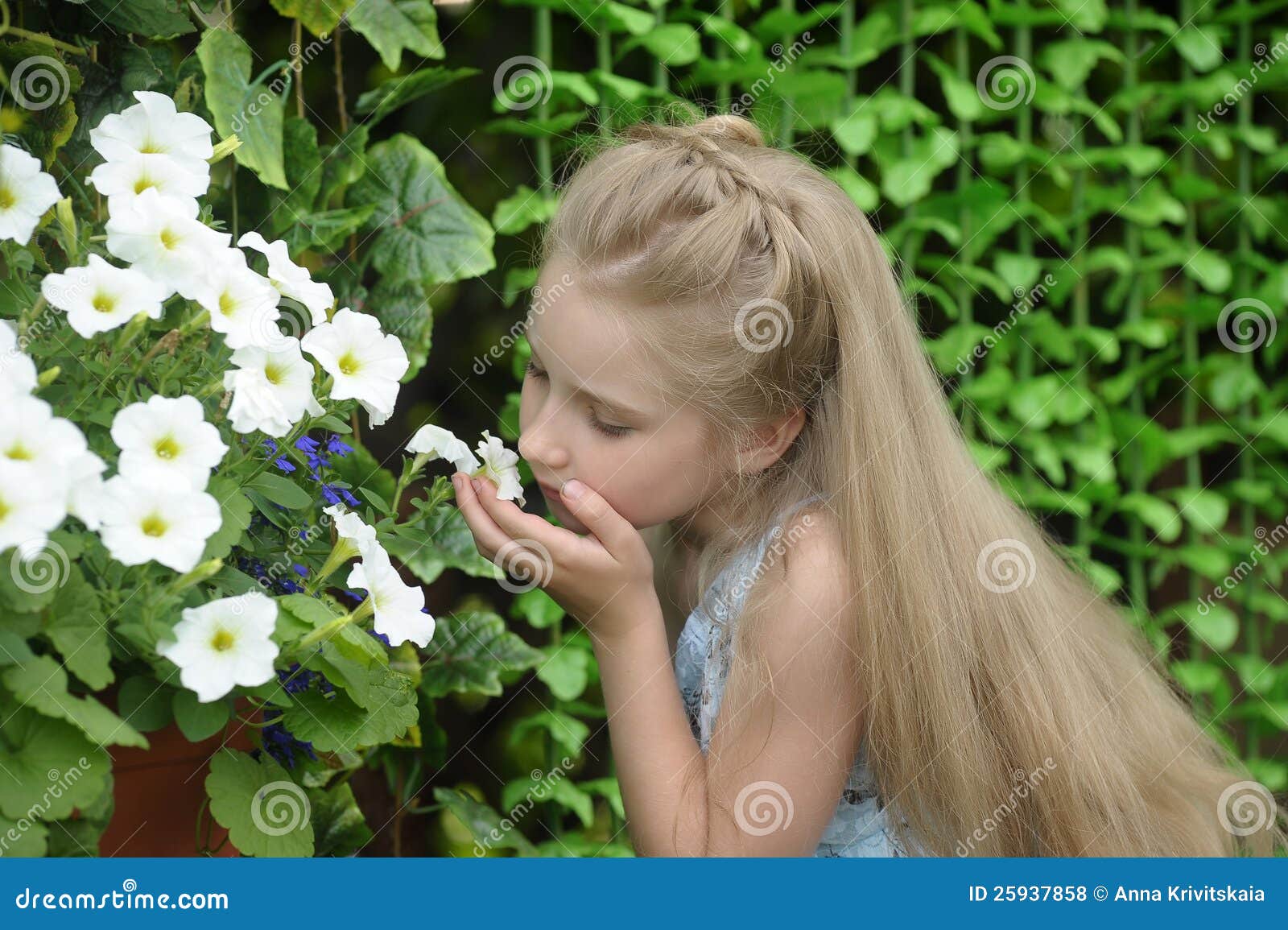 Girl sniffing flowers stock photo. Image of child, grill - 25937858