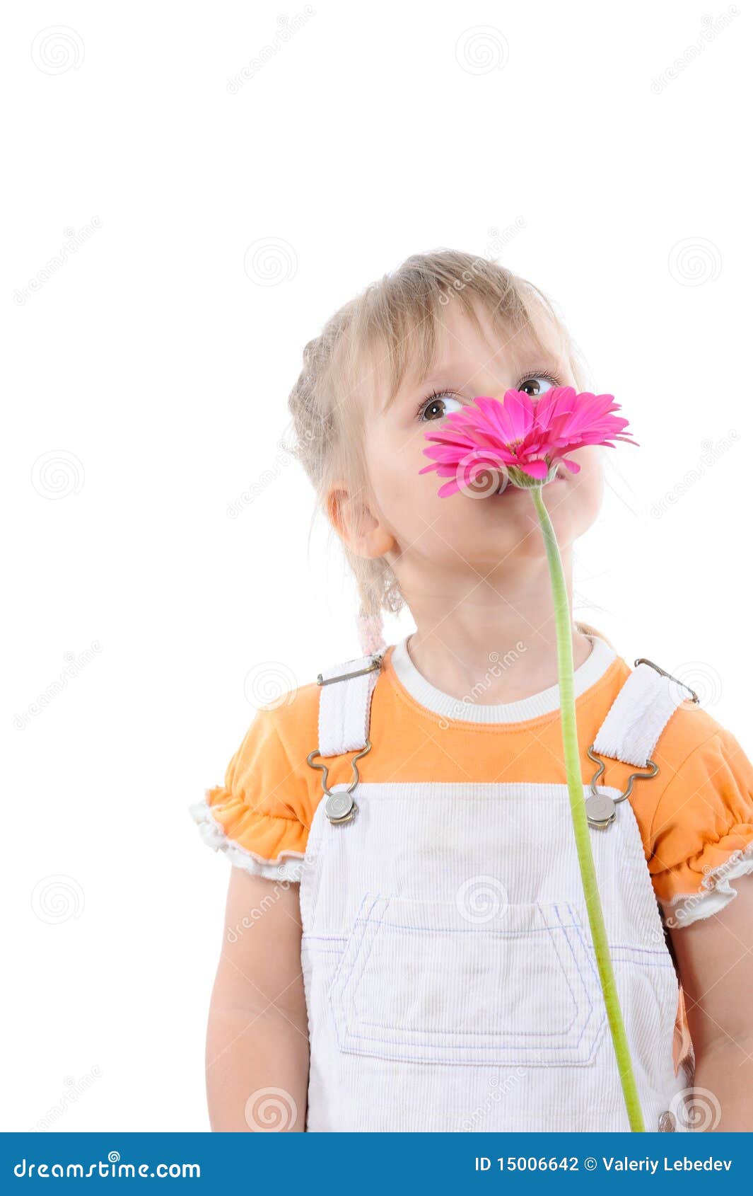Girl sniffs a flower. stock photo. Image of people, cheerful - 15006642