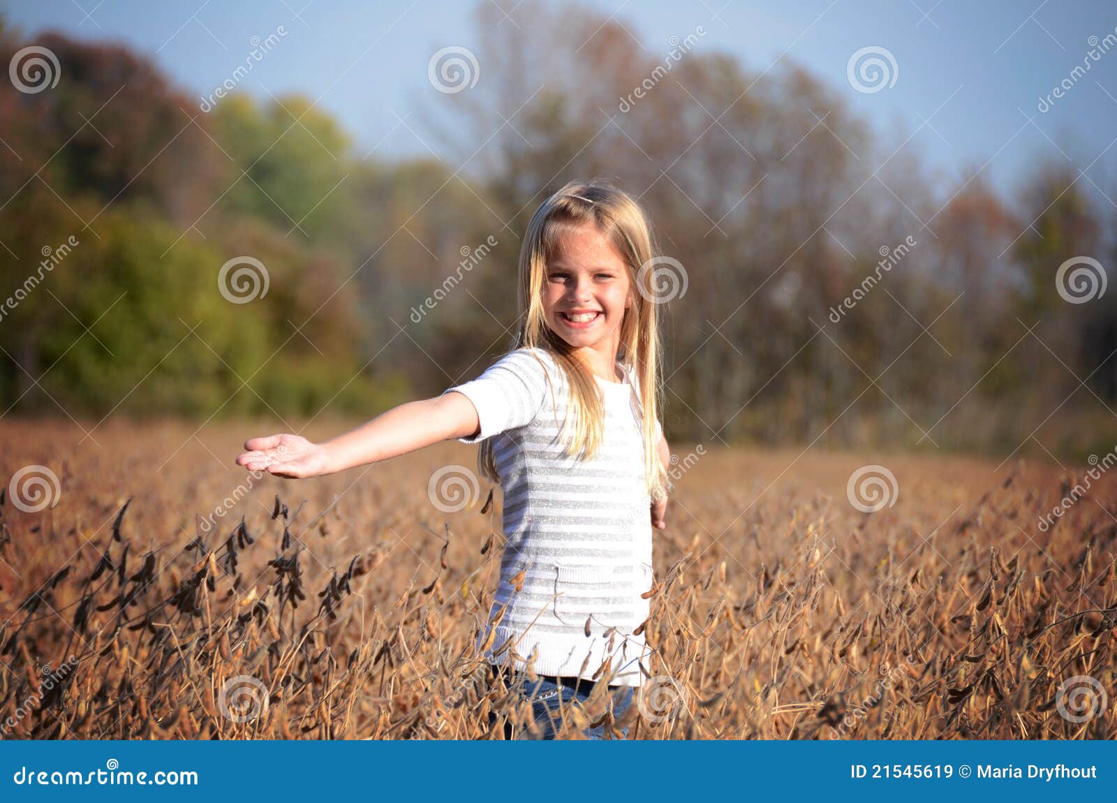 Girl in soybean field stock image. Image of woods, outdoors - 21545619
