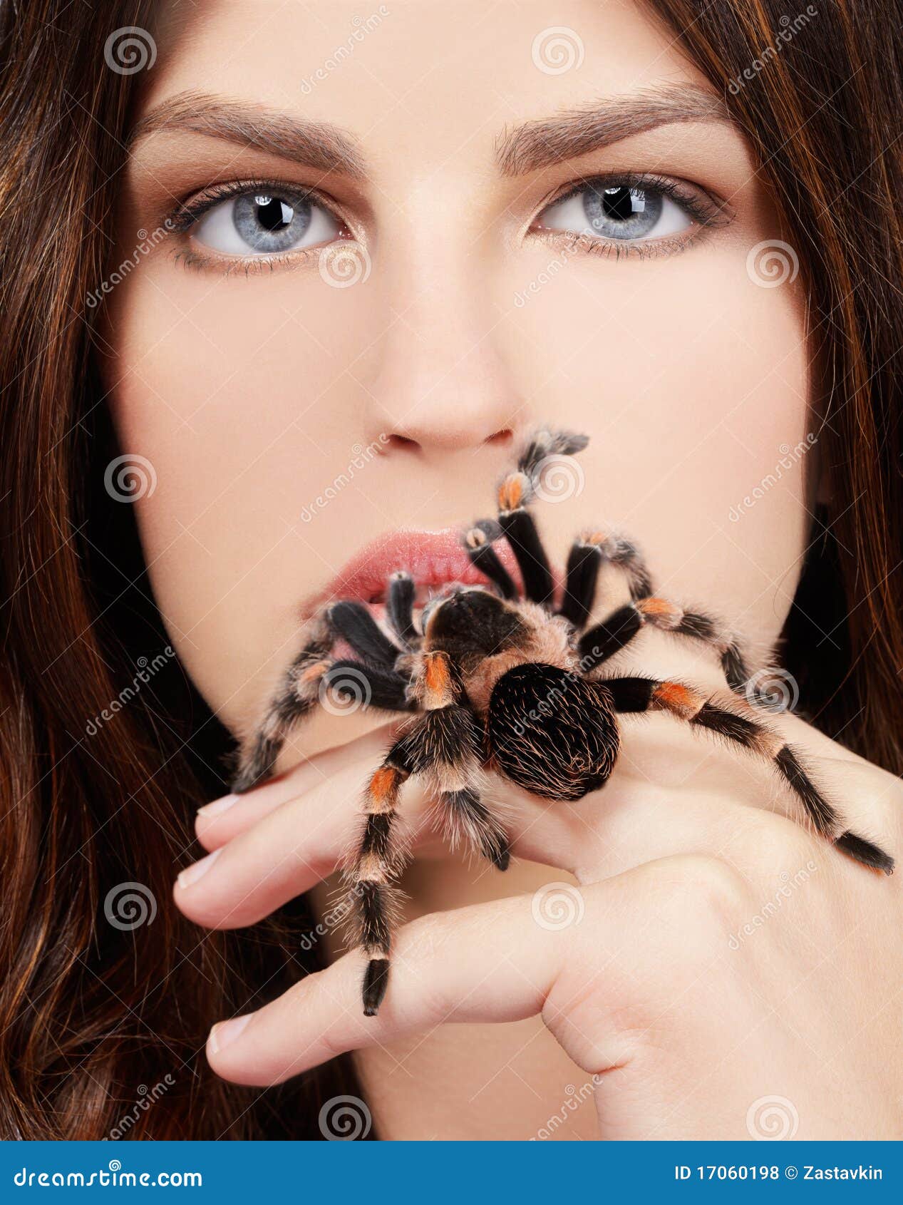 Girl with spider stock photo. Image of birdeater, close - 17060198