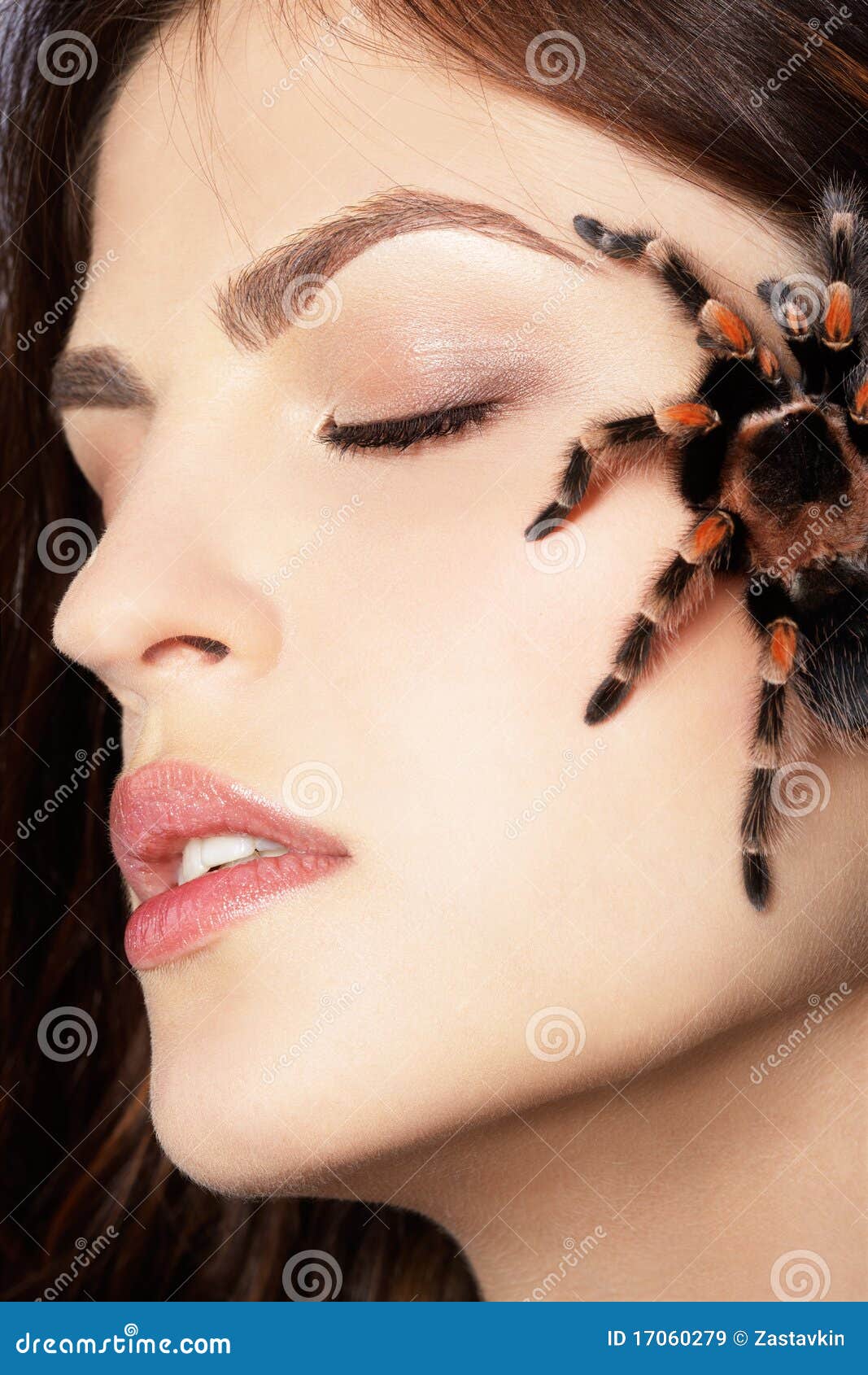 Girl with spider stock image. Image of attractive, insect - 17060279