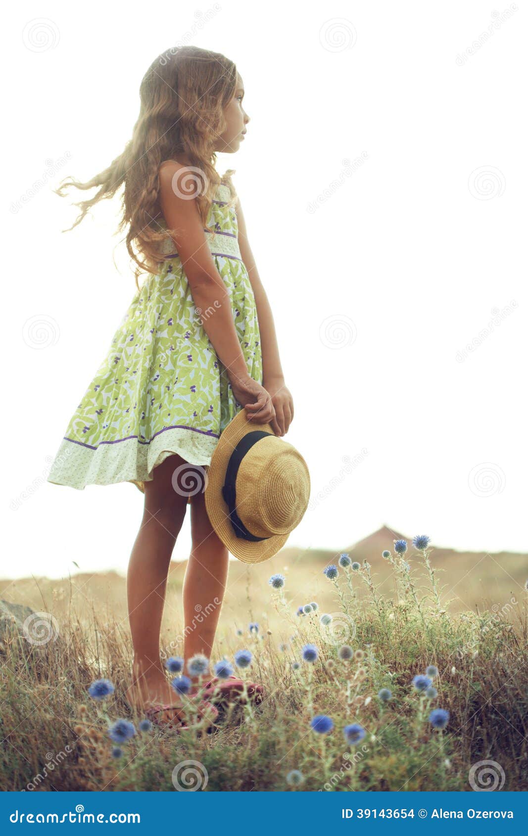 Girl in spring field stock photo. Image of leisure, nature - 39143654