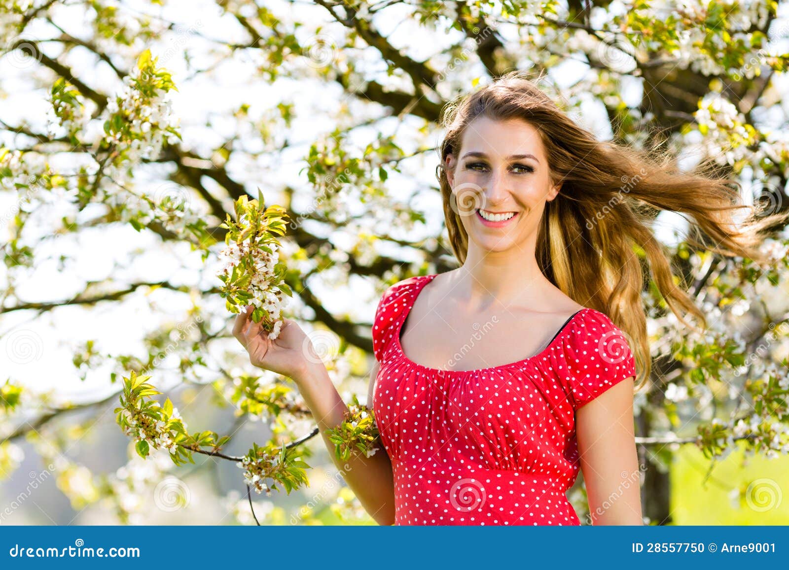 Girl in Spring and Tree Blossom Stock Photo - Image of seasons, spring ...