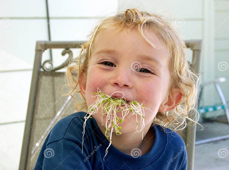 Girl sprouts stock photo. Image of sprouts, chew, alfalfa - 16086624