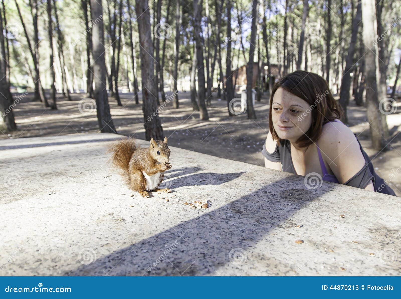 Girl with squirrel stock image. Image of female, life - 44870213