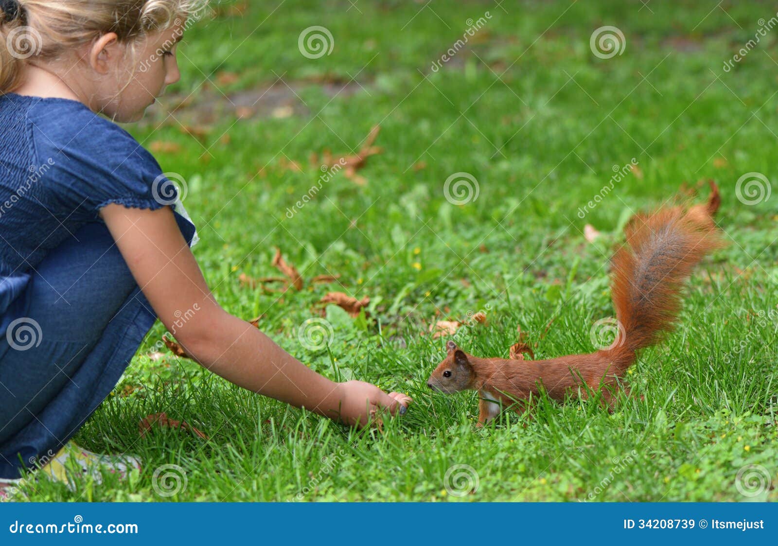 Girl with squirrel. stock image. Image of autumn, furry - 34208739