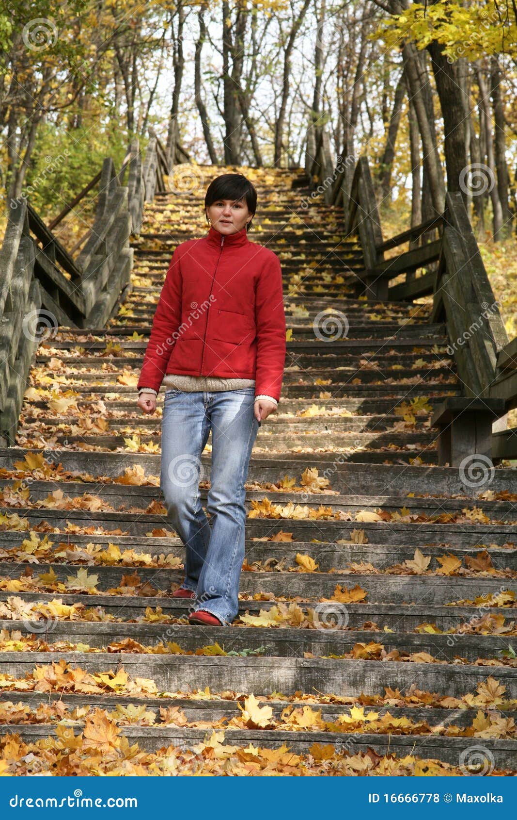 Girl on the stairs stock photo. Image of girl, autumn - 16666778