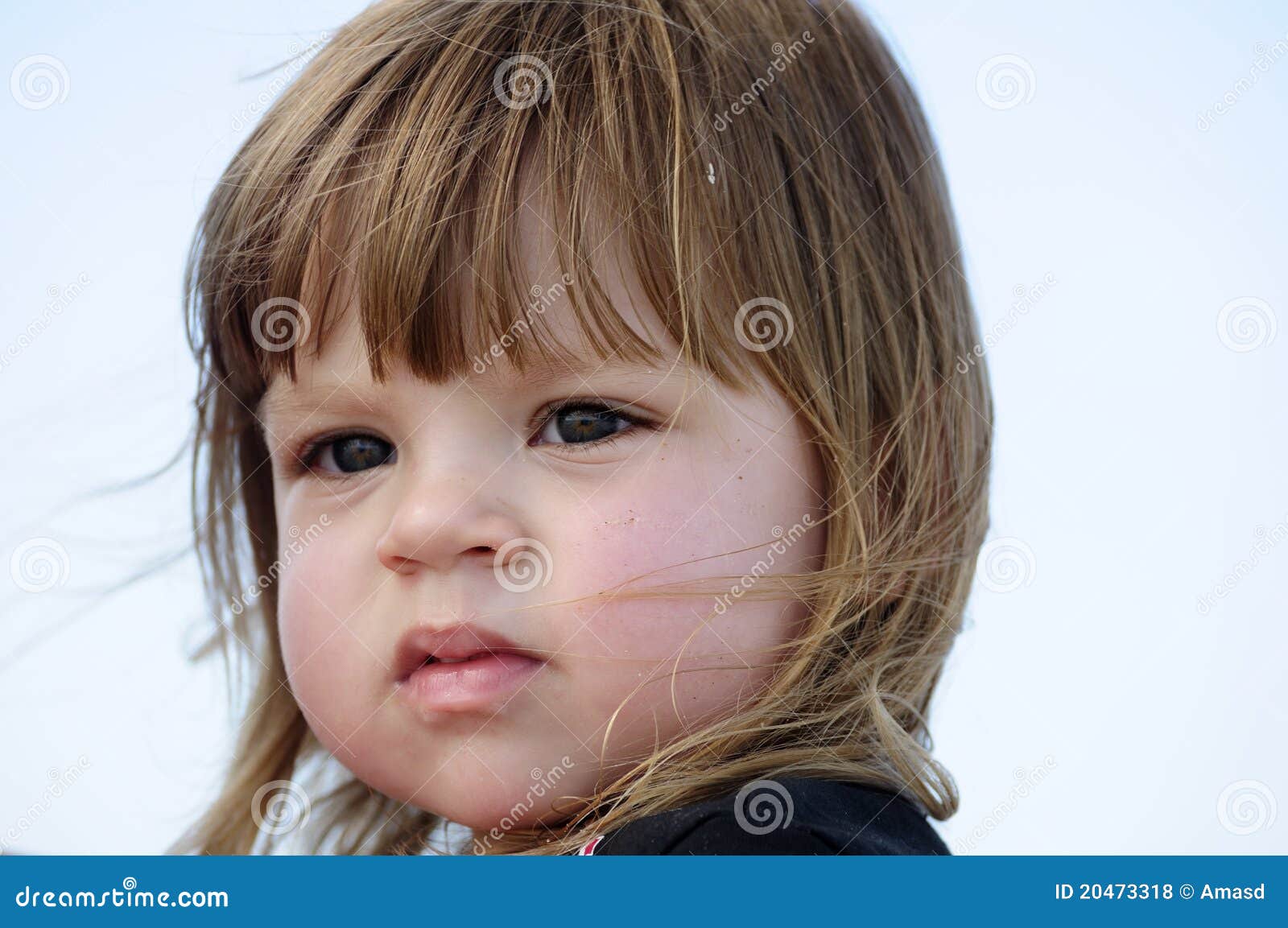 Girl Stare stock photo. Image of children, girl, florida - 20473318