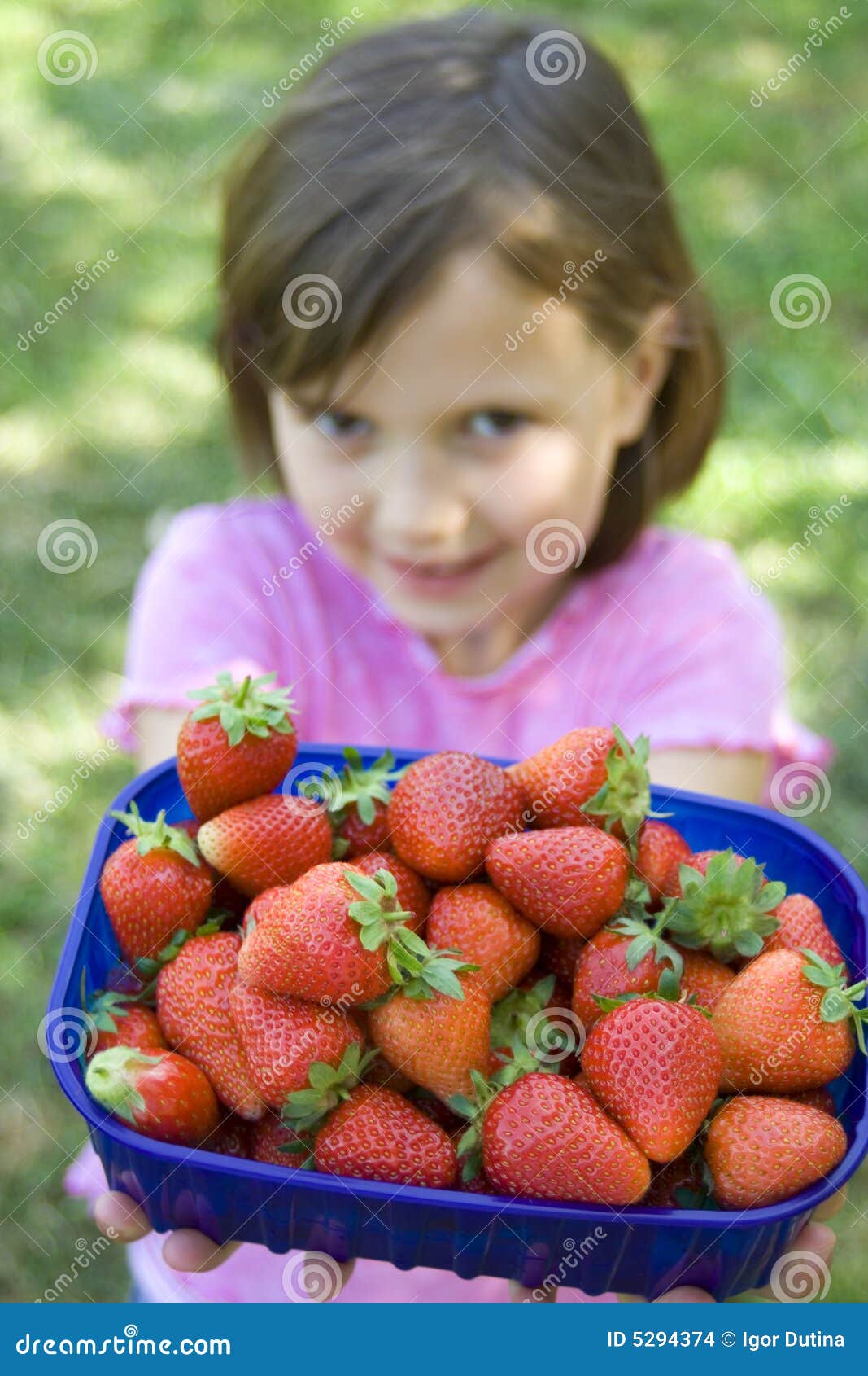 Girl with strawberries stock photo. Image of sweet, strawberry - 5294374