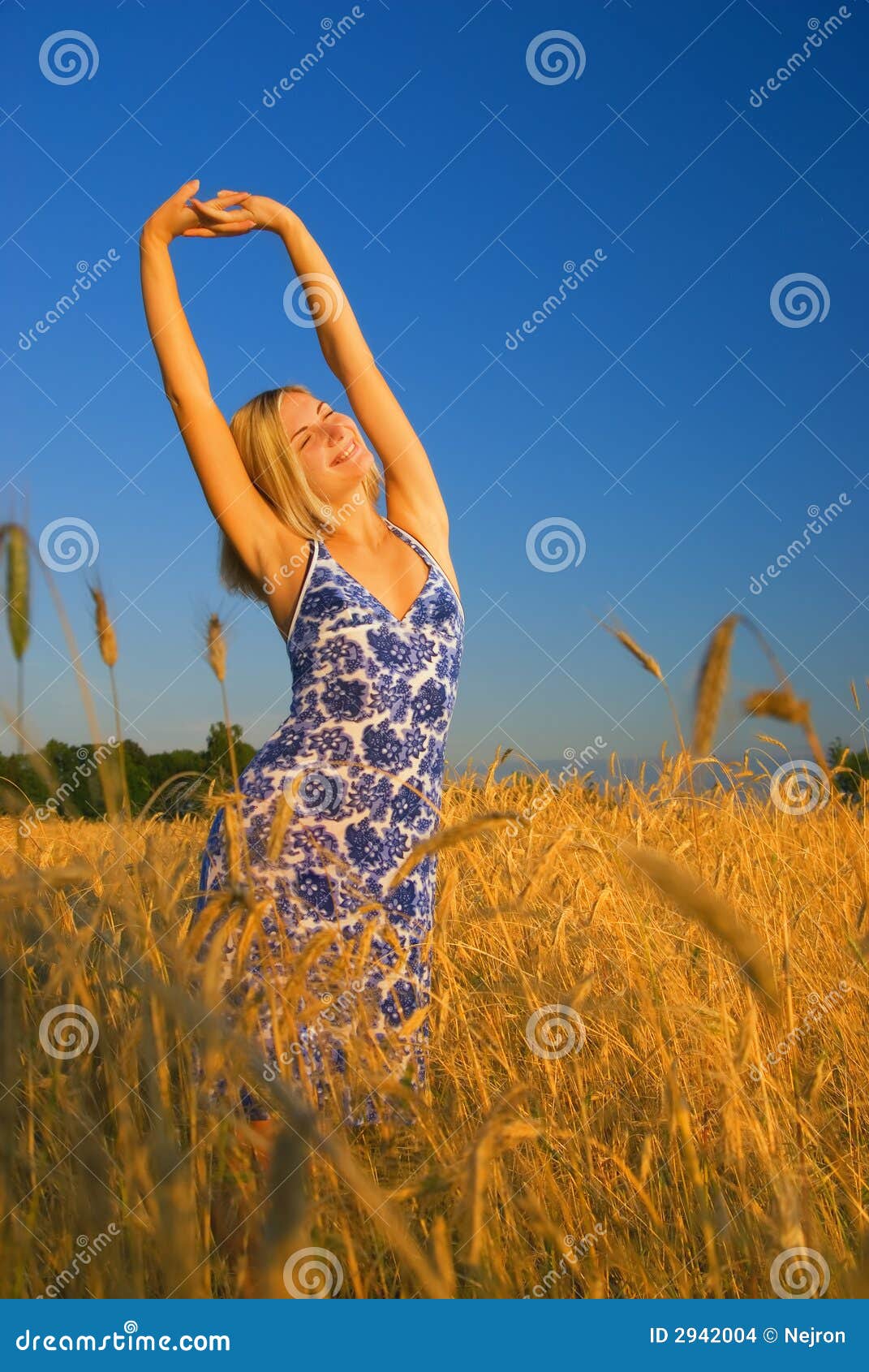 Girl Stretching in the Field Stock Photo - Image of holiday, evening ...