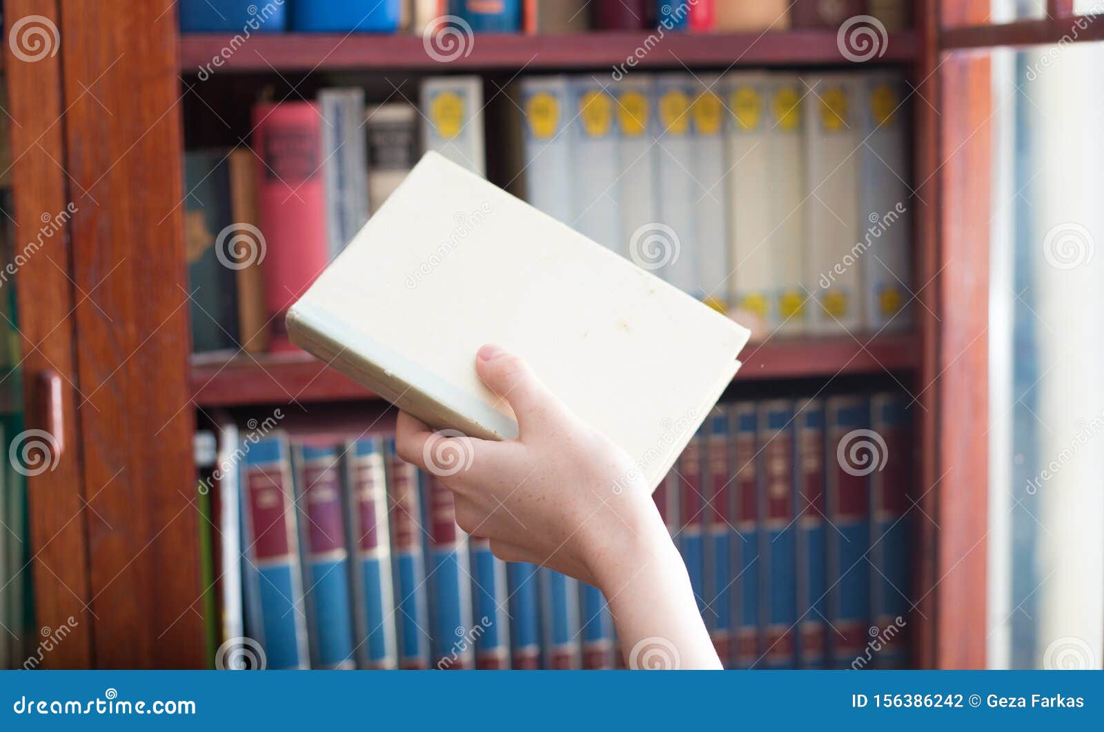 Girl Student Borrow a Book from the Library Stock Photo - Image of ...