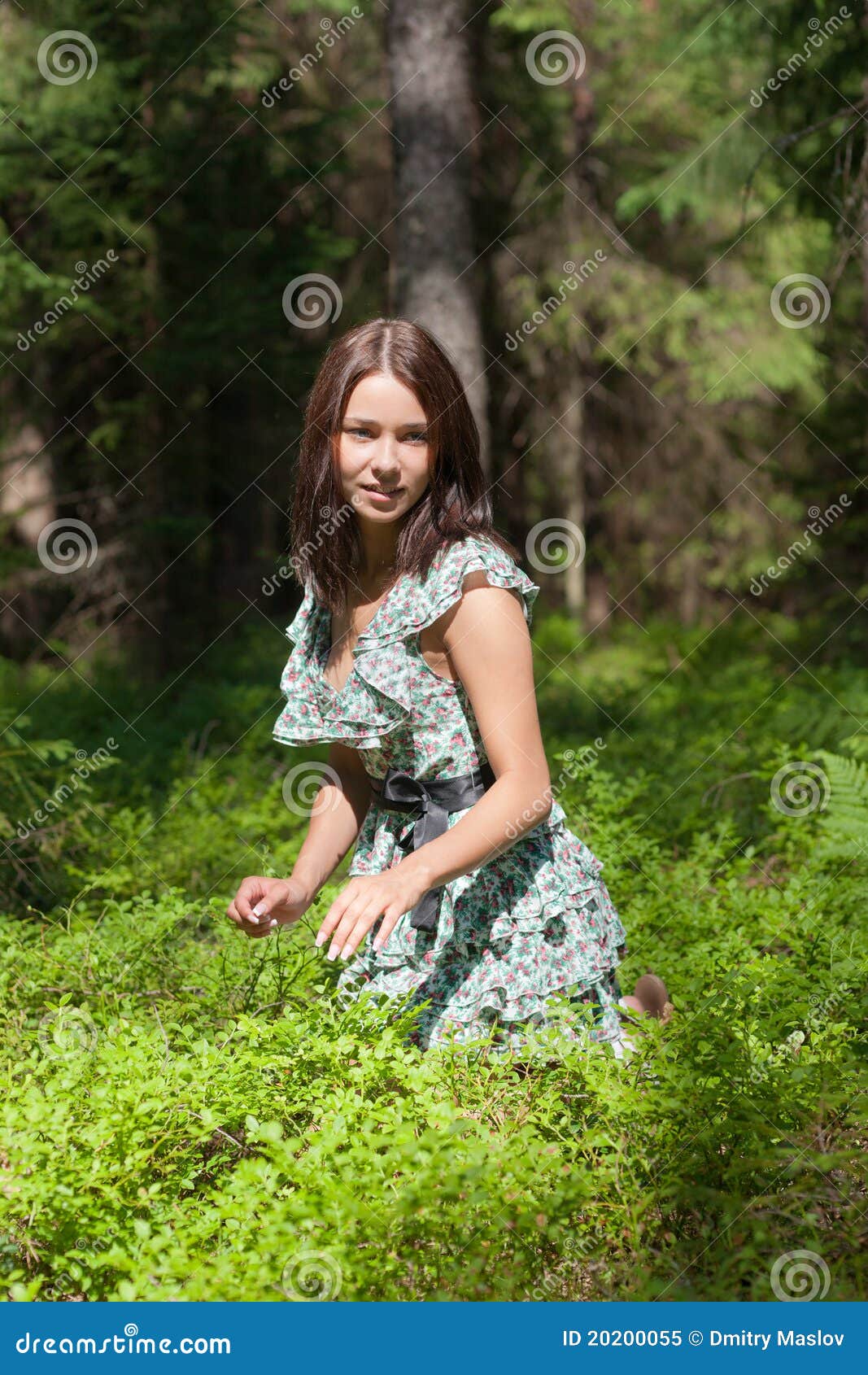 Girl in summer wood stock image. Image of forest, woods - 20200055