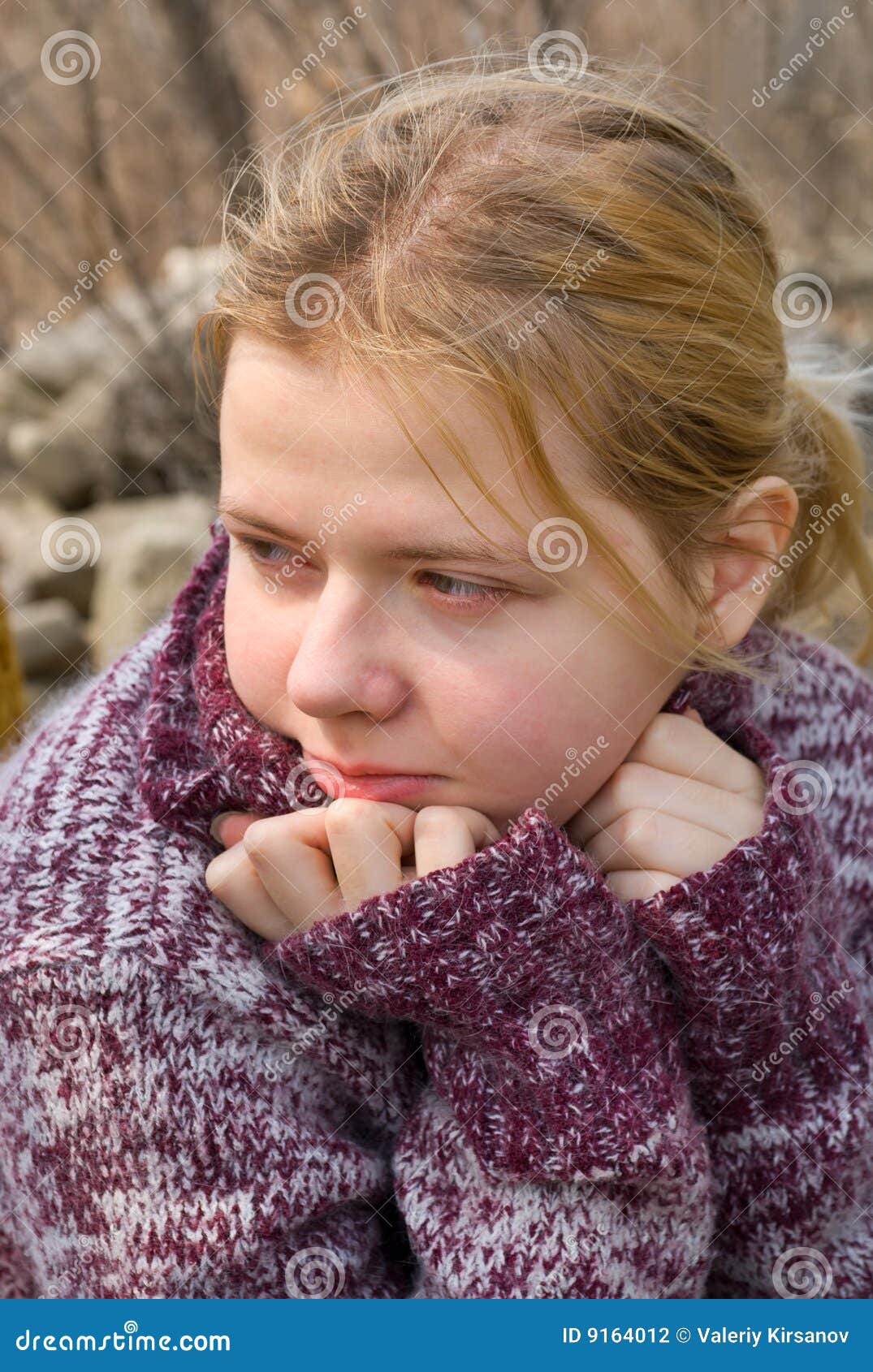 Girl in Sweater 2 stock photo. Image of confidence, attractive - 9164012