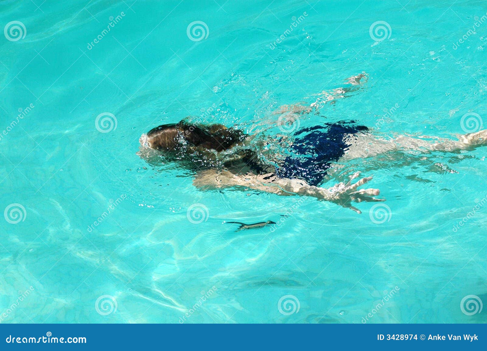 Girl swimming 库存照片. 图片 包括有 健身, 夏天, 户外, 淹没, 女孩, 子项, 享受 - 3428974