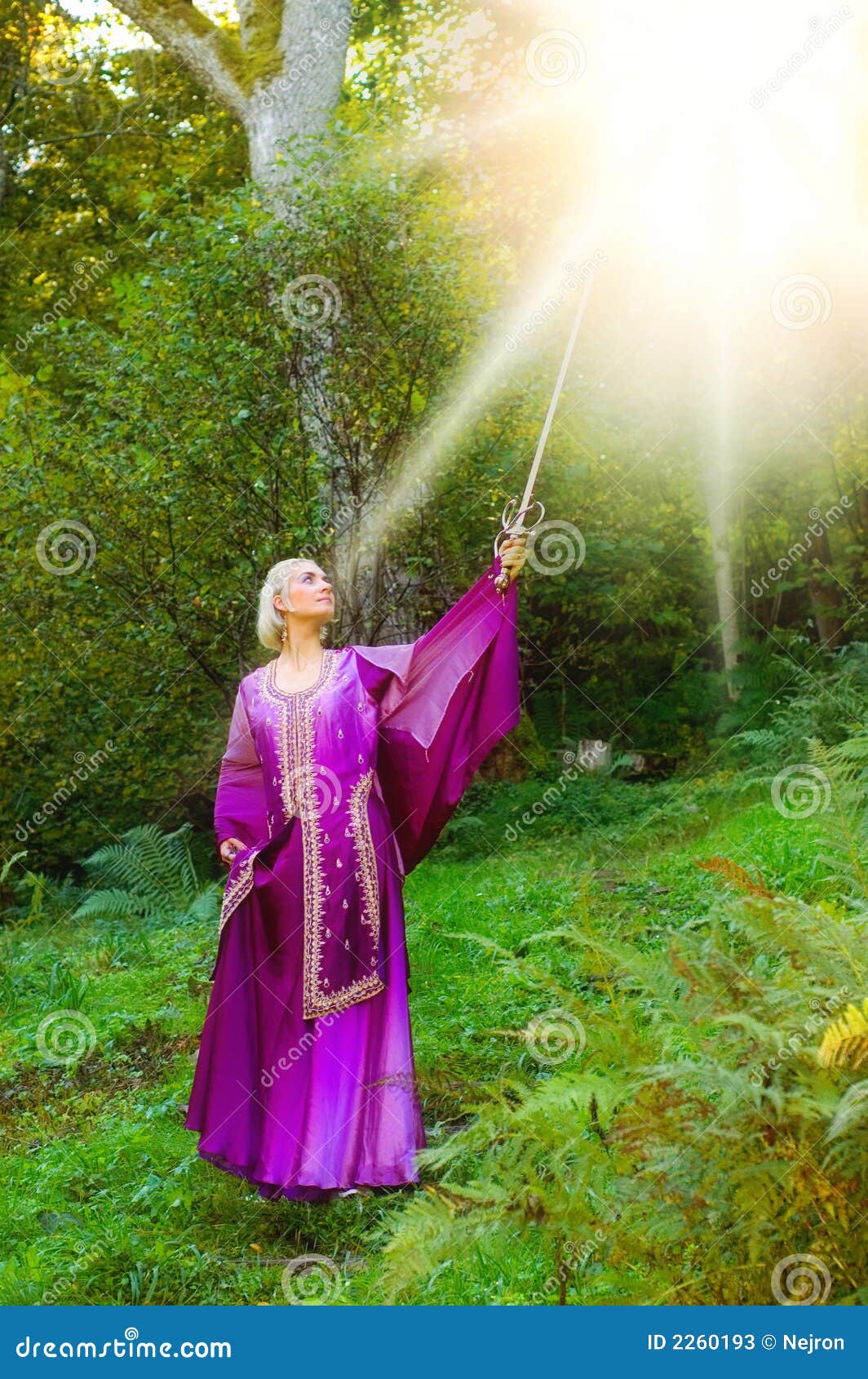 Girl with a sword stock image. Image of fantasy, beauty - 2260193