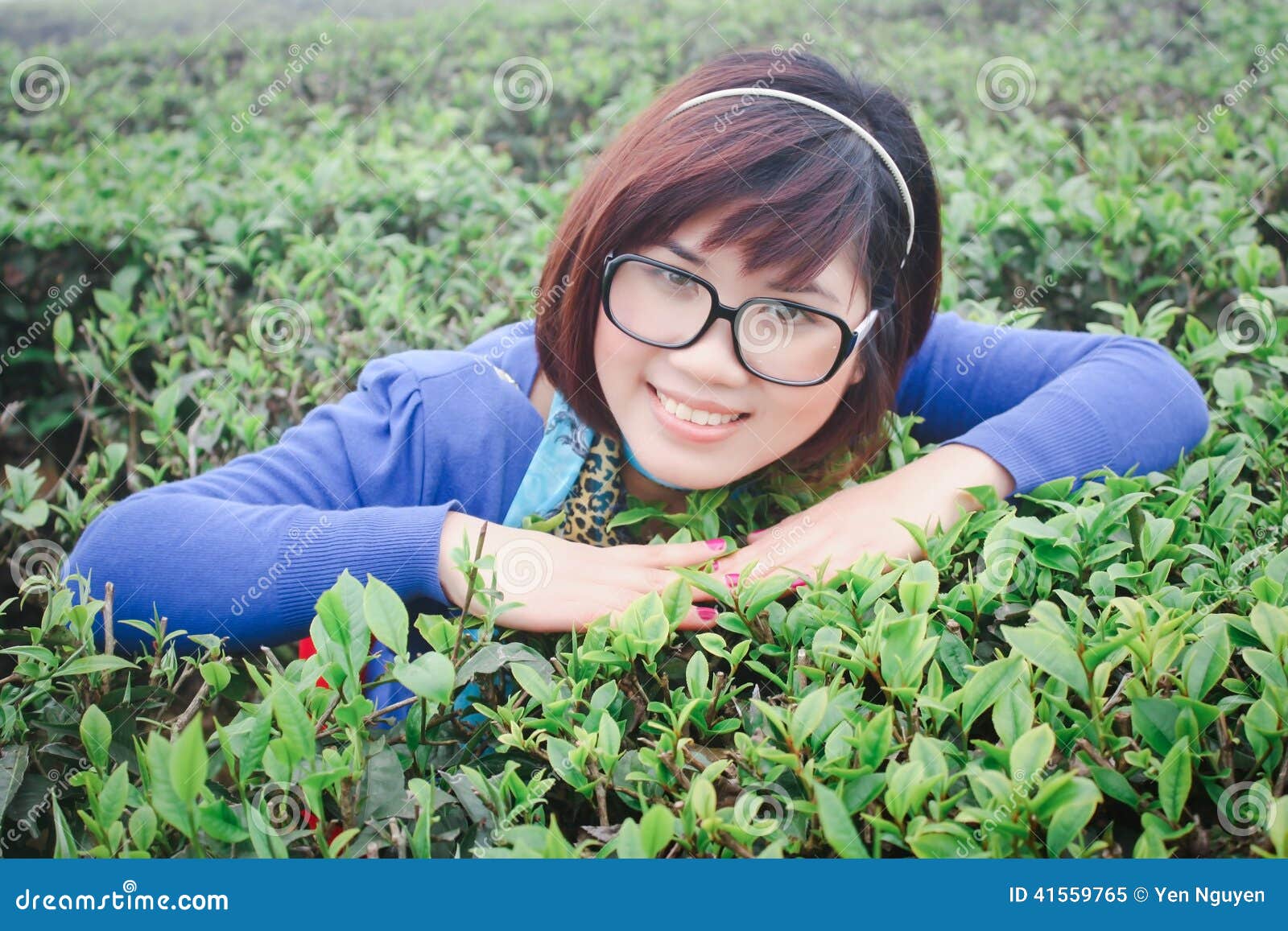 Girl in tea garden stock image. Image of blue, adult - 41559765