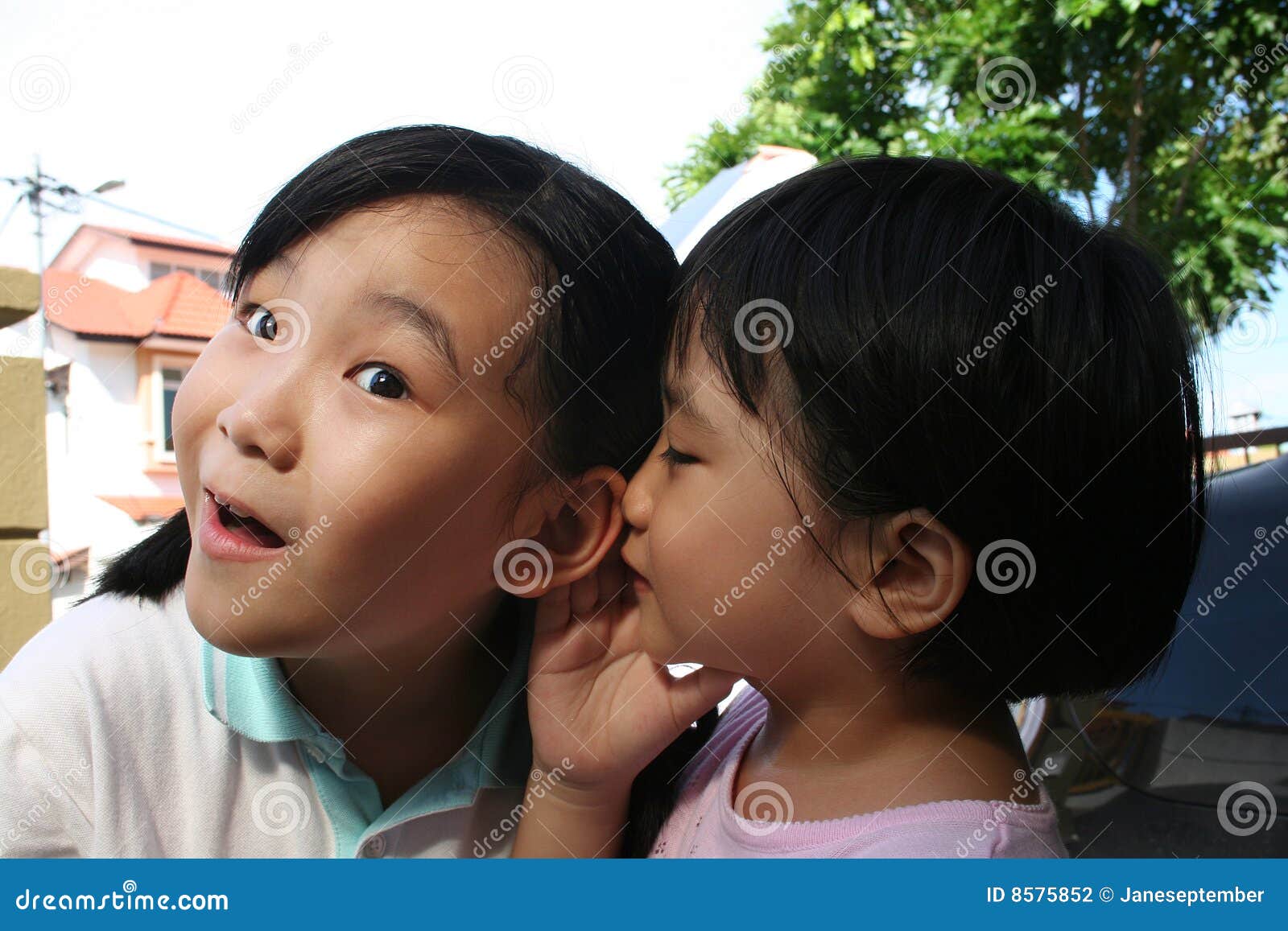Girl telling secret stock photo. Image of hearing, share - 8575852