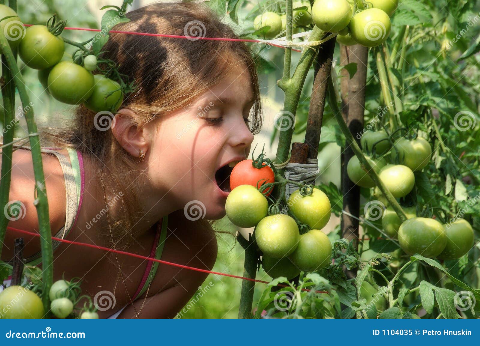 Girl and tomatoes stock image. Image of cheeks, bites - 1104035
