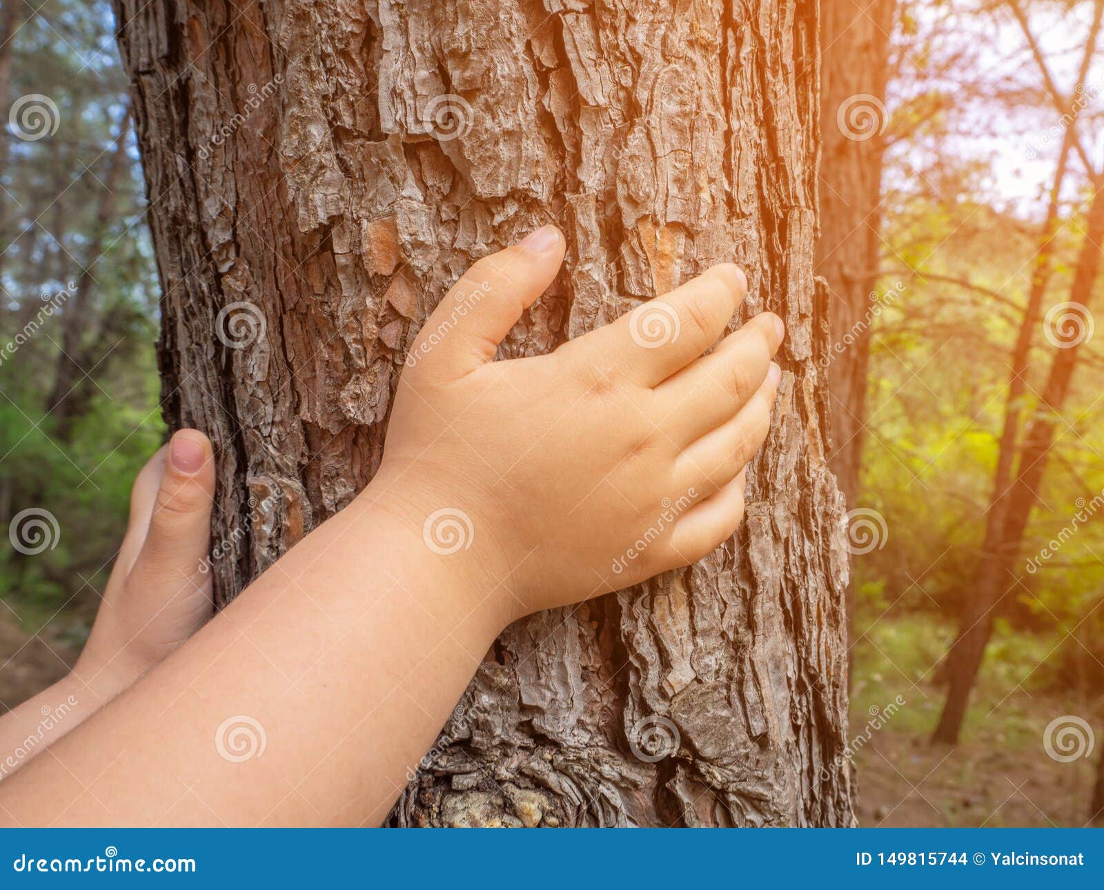 Girl touching tree stock photo. Image of human, girl - 149815744