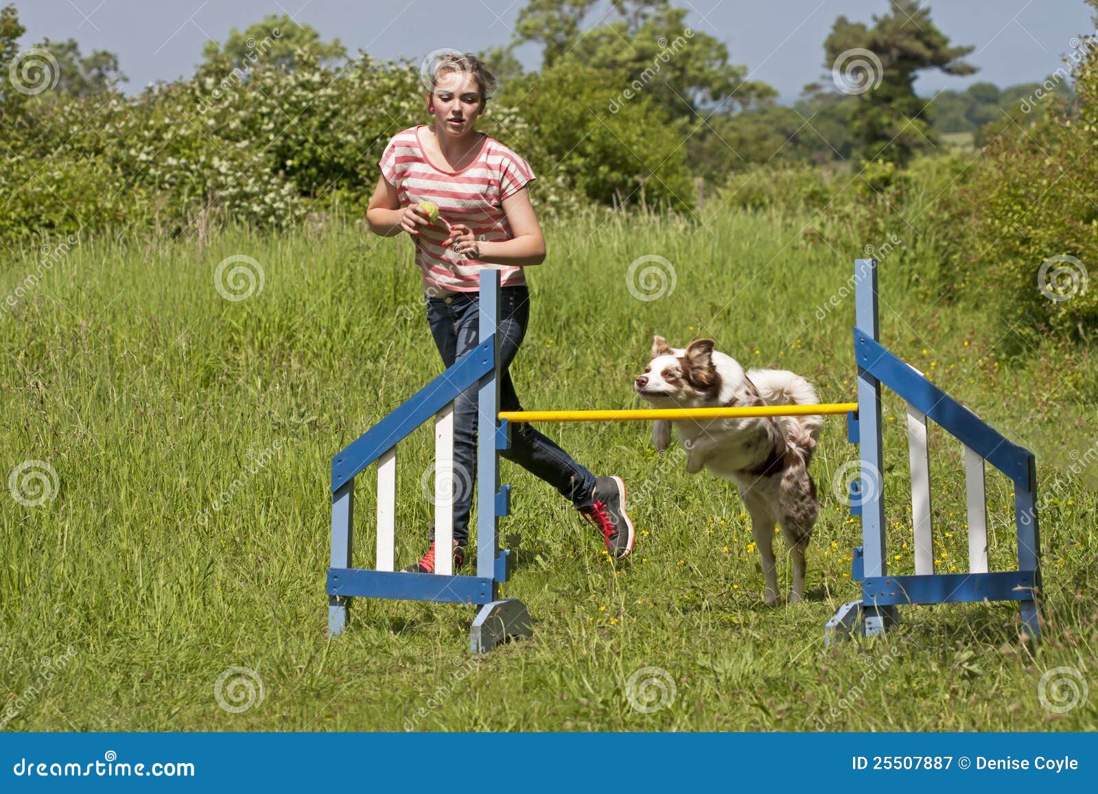 Girl Training Her Dog To Jump Stock Image - Image of grass, connection ...