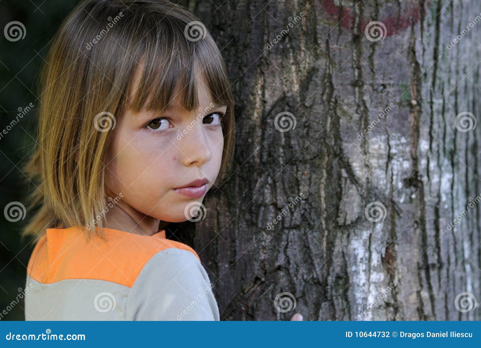 Girl and tree stock photo. Image of glamour, fashionable - 10644732