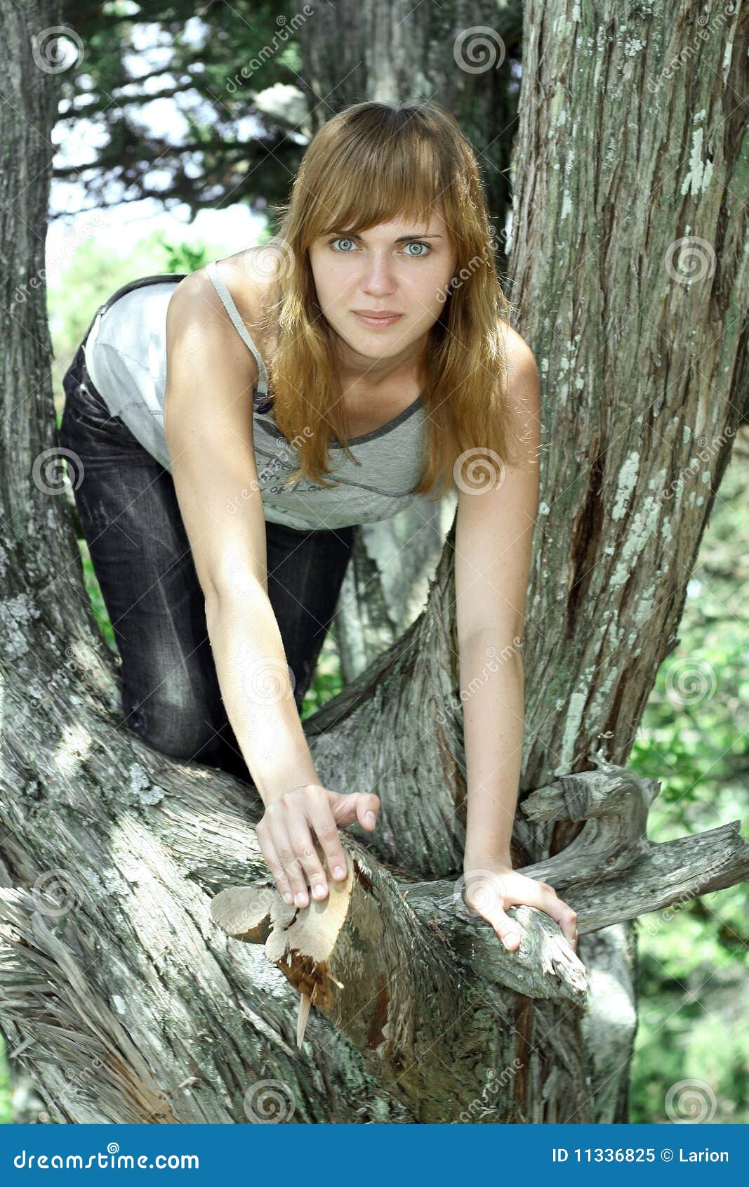 Girl on the tree stock image. Image of hair, beautiful - 11336825