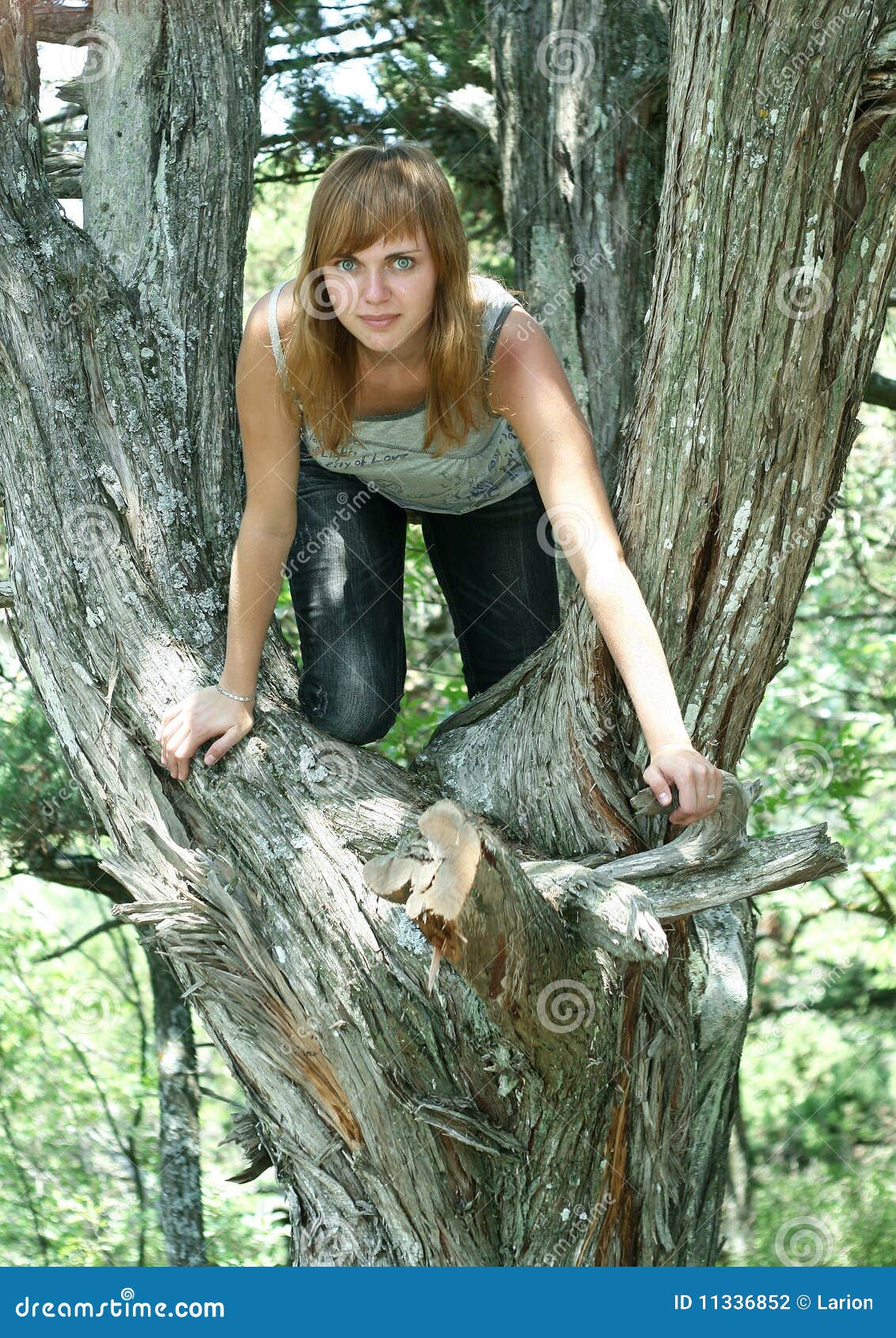 Girl on the tree stock photo. Image of chick, escapism - 11336852