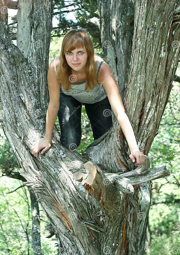 Girl on the tree stock photo. Image of chick, escapism - 11336852