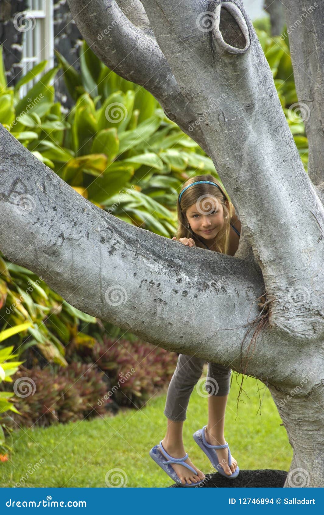 Girl by the tree. stock photo. Image of childhood, outdoors - 12746894