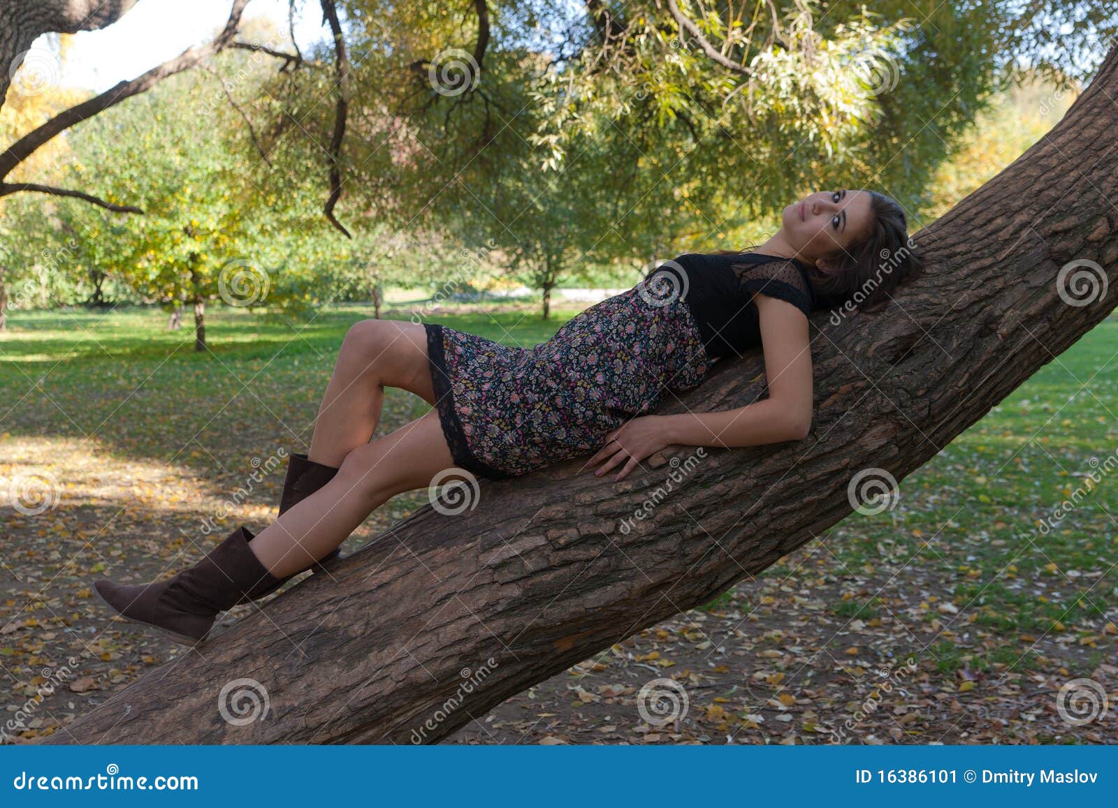 The girl on a tree stock image. Image of outdoors, cute - 16386101
