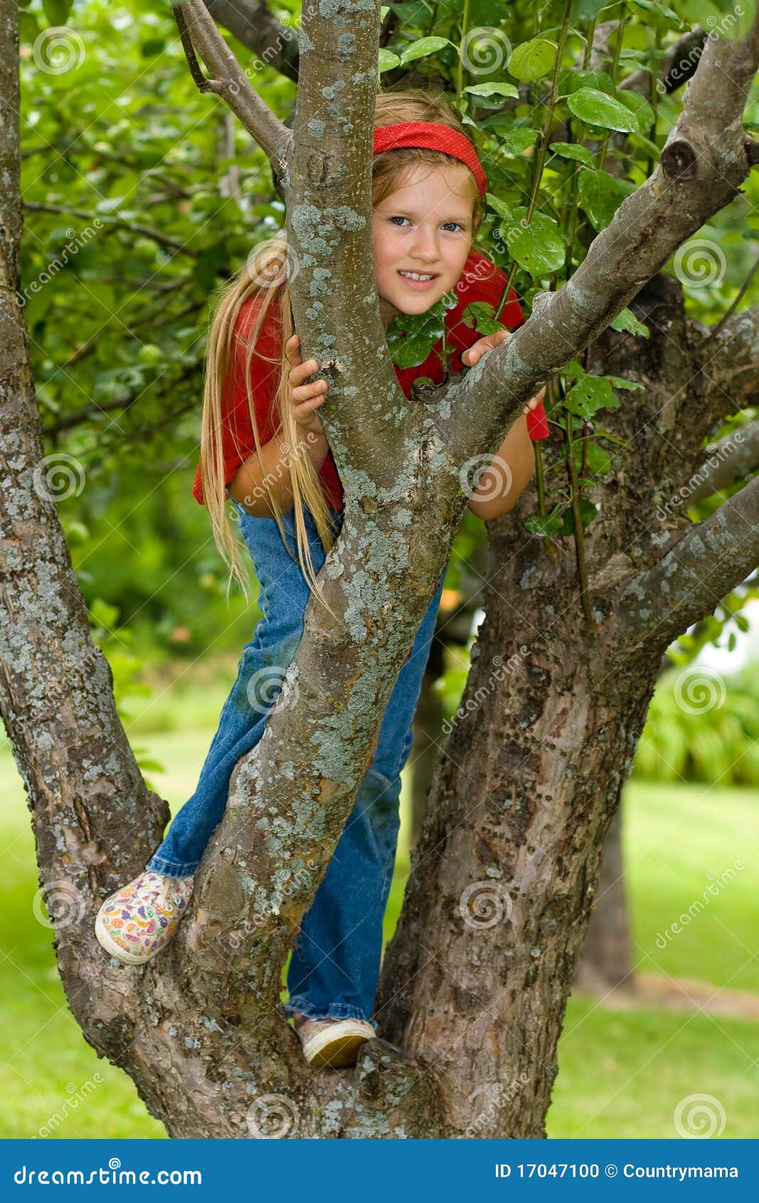 Girl in tree. stock photo. Image of young, youthful, hide - 17047100