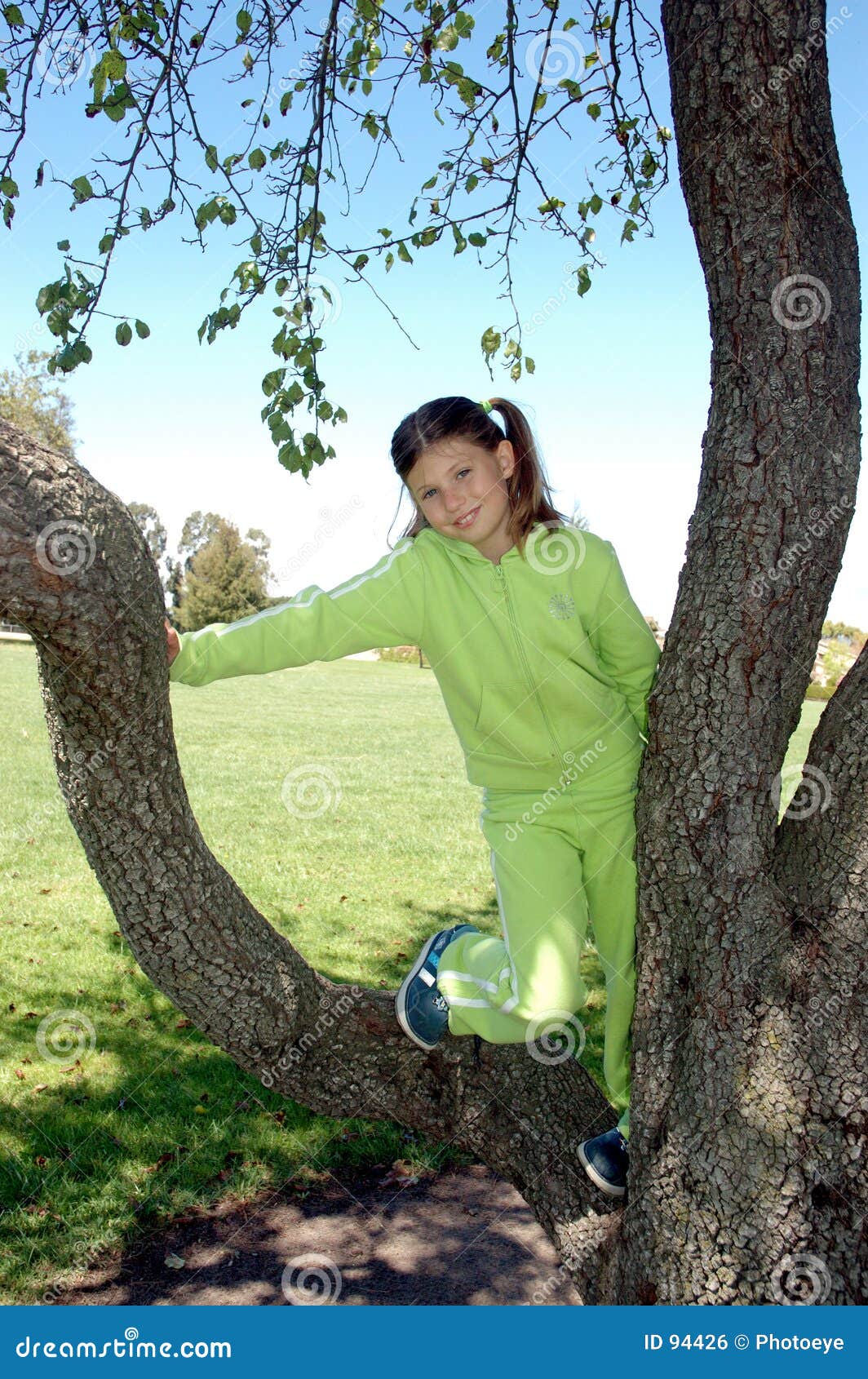 Girl and tree 2 stock photo. Image of teen, eyes, green - 94426