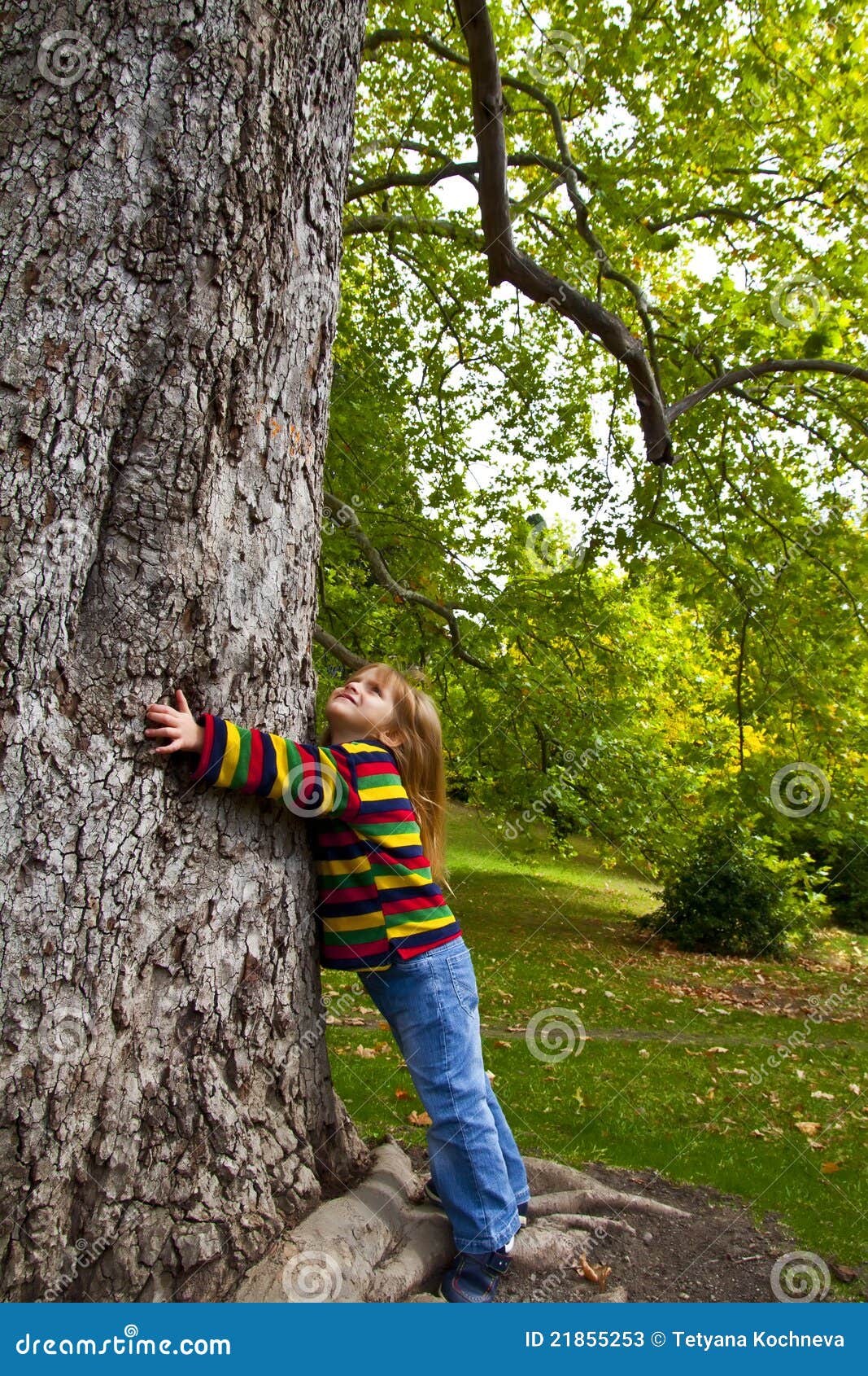 Girl and tree stock image. Image of grow, forest, ecology - 21855253