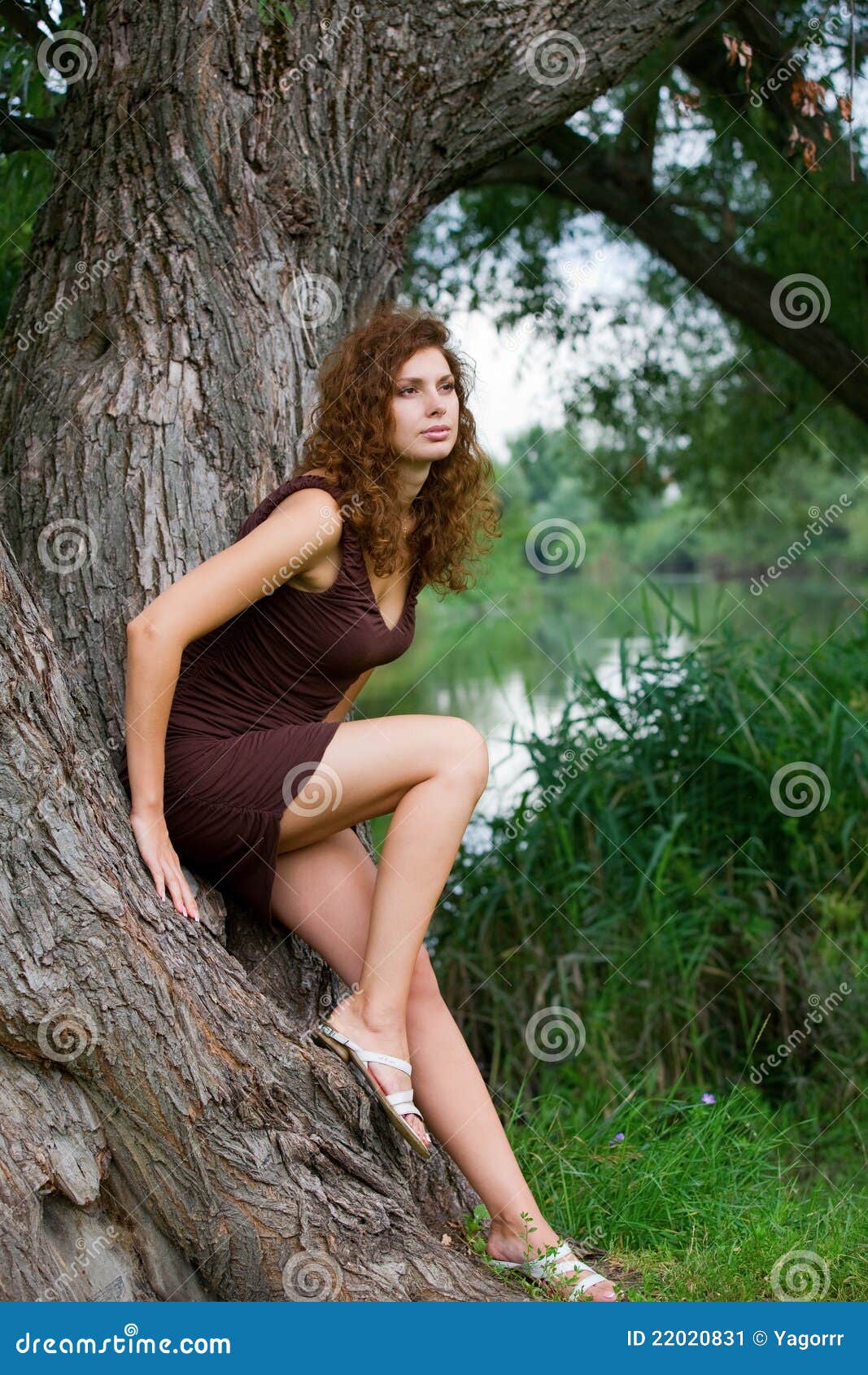 The girl at a tree stock image. Image of park, beautiful - 22020831