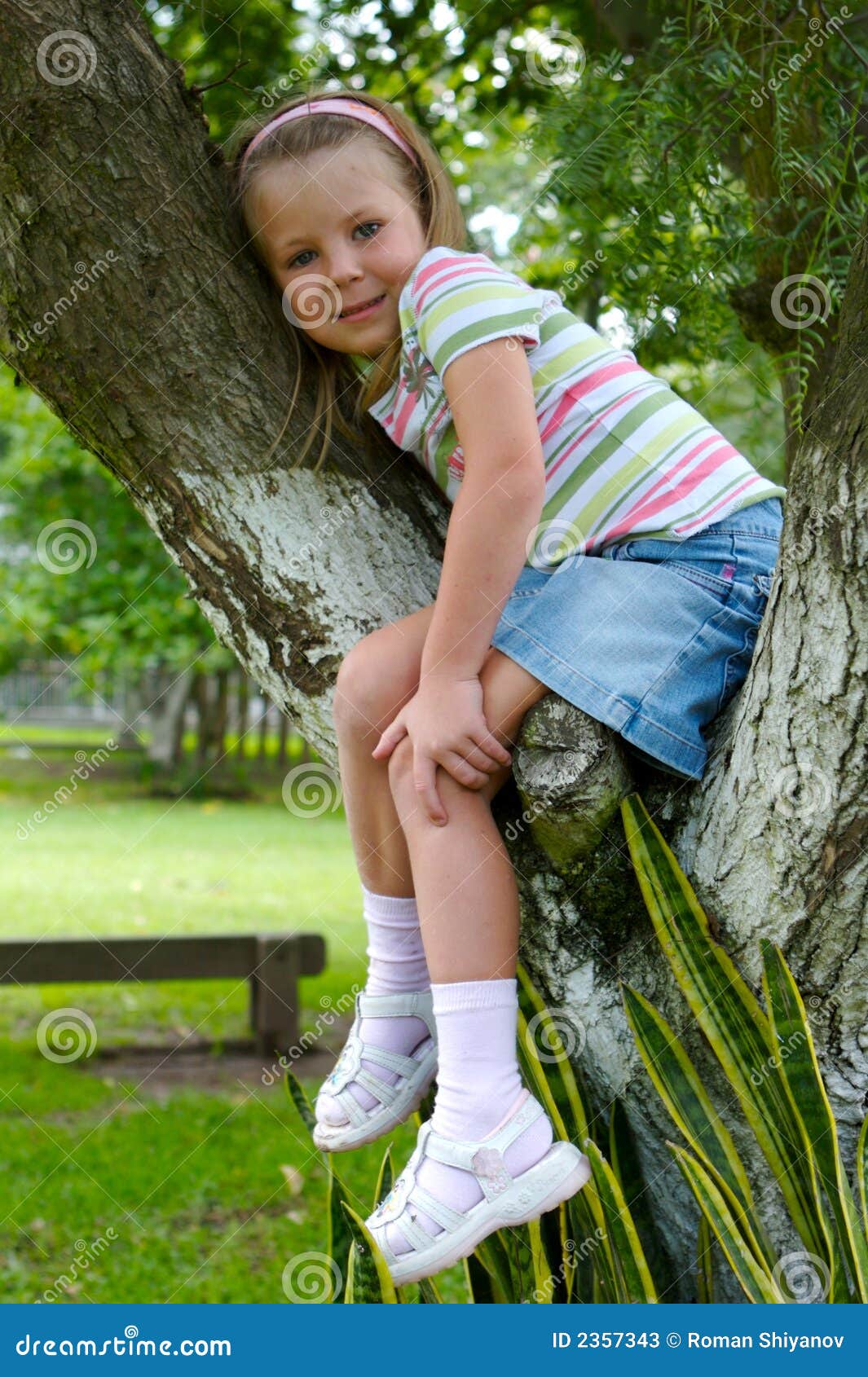 Girl on the tree stock image. Image of female, blond, people - 2357343