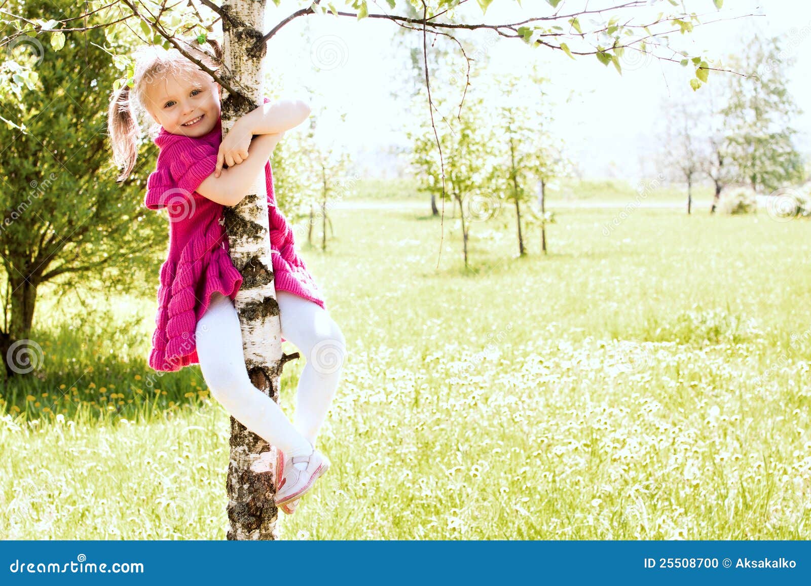 Girl on the tree stock photo. Image of hands, childhood - 25508700