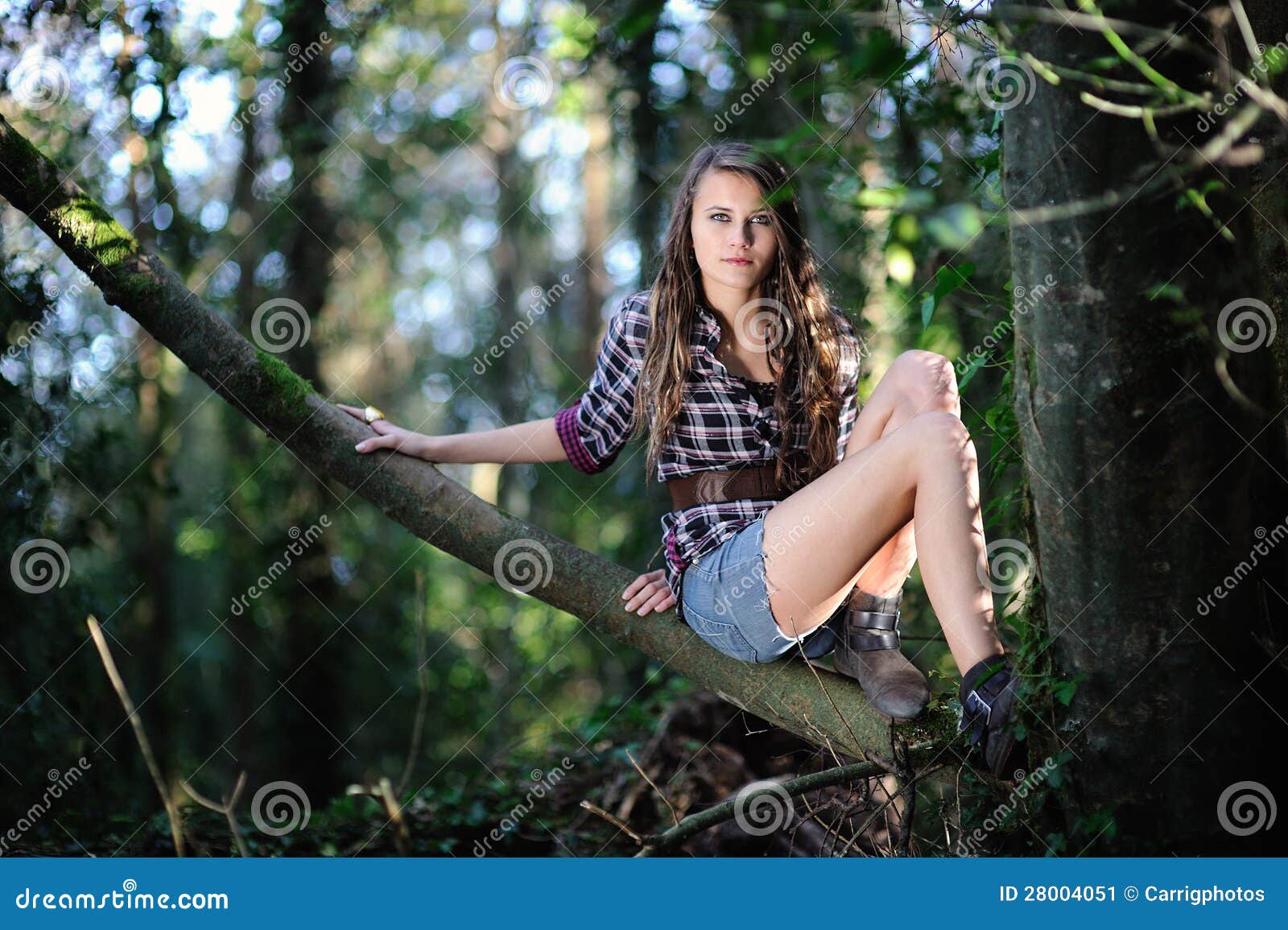 Girl in a tree stock image. Image of brown, shorts, forest - 28004051