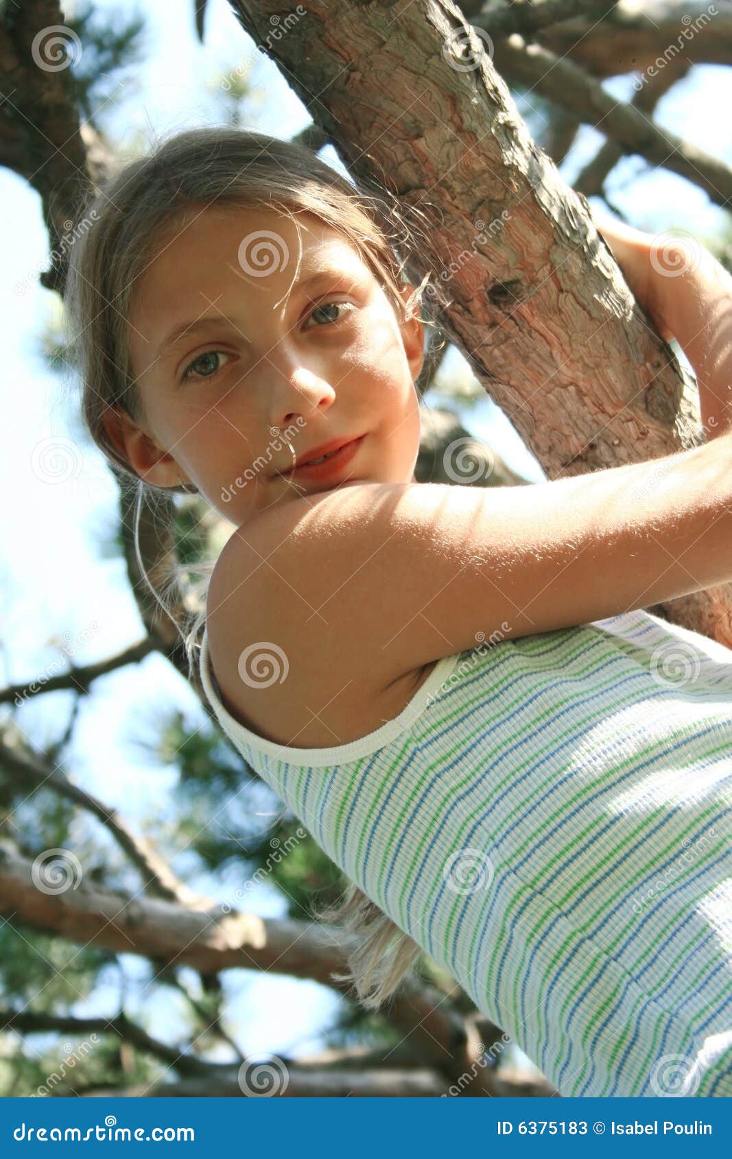 Girl on the tree stock image. Image of person, lovely - 6375183