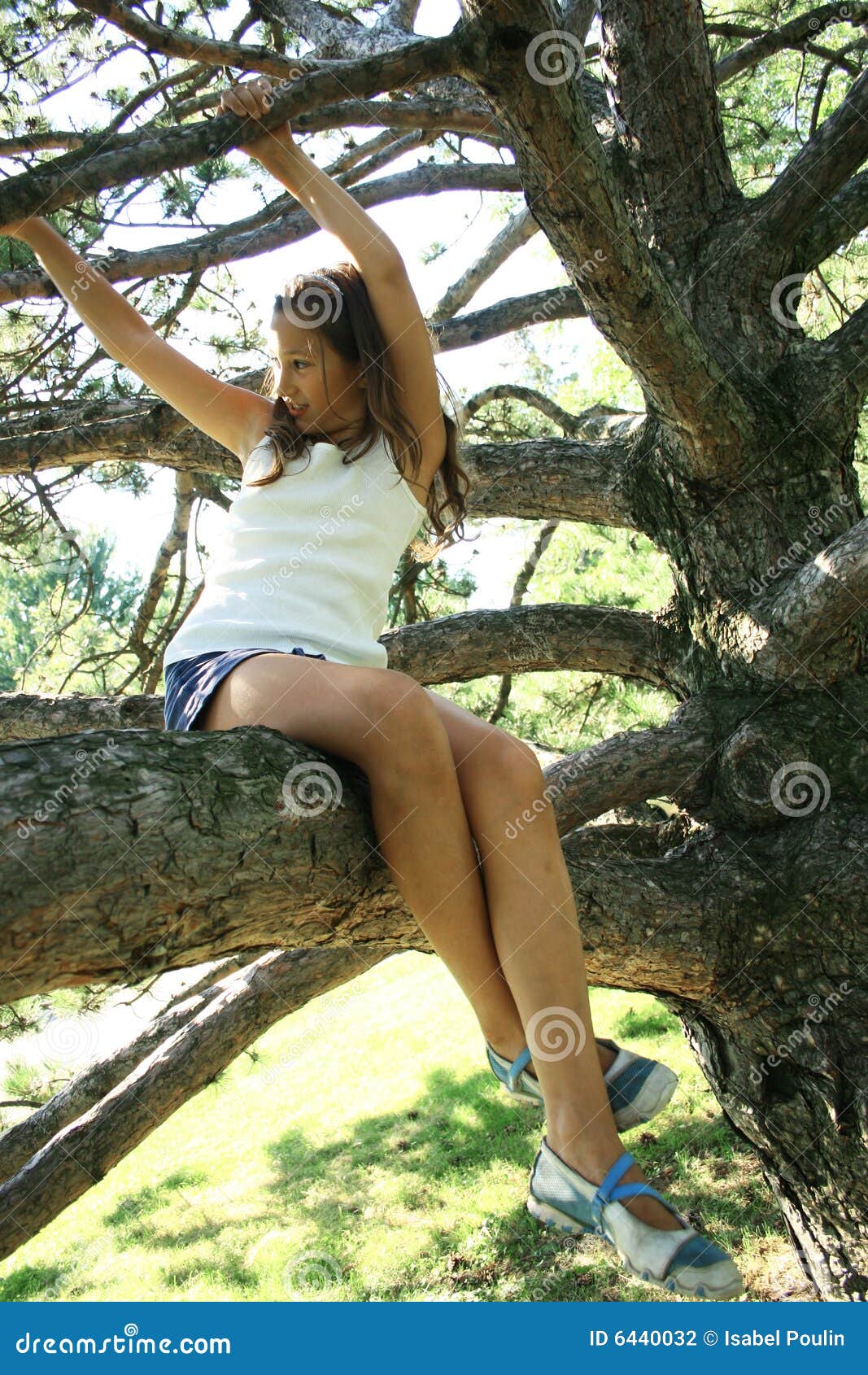 Girl in tree stock photo. Image of tree, nature, white - 6440032